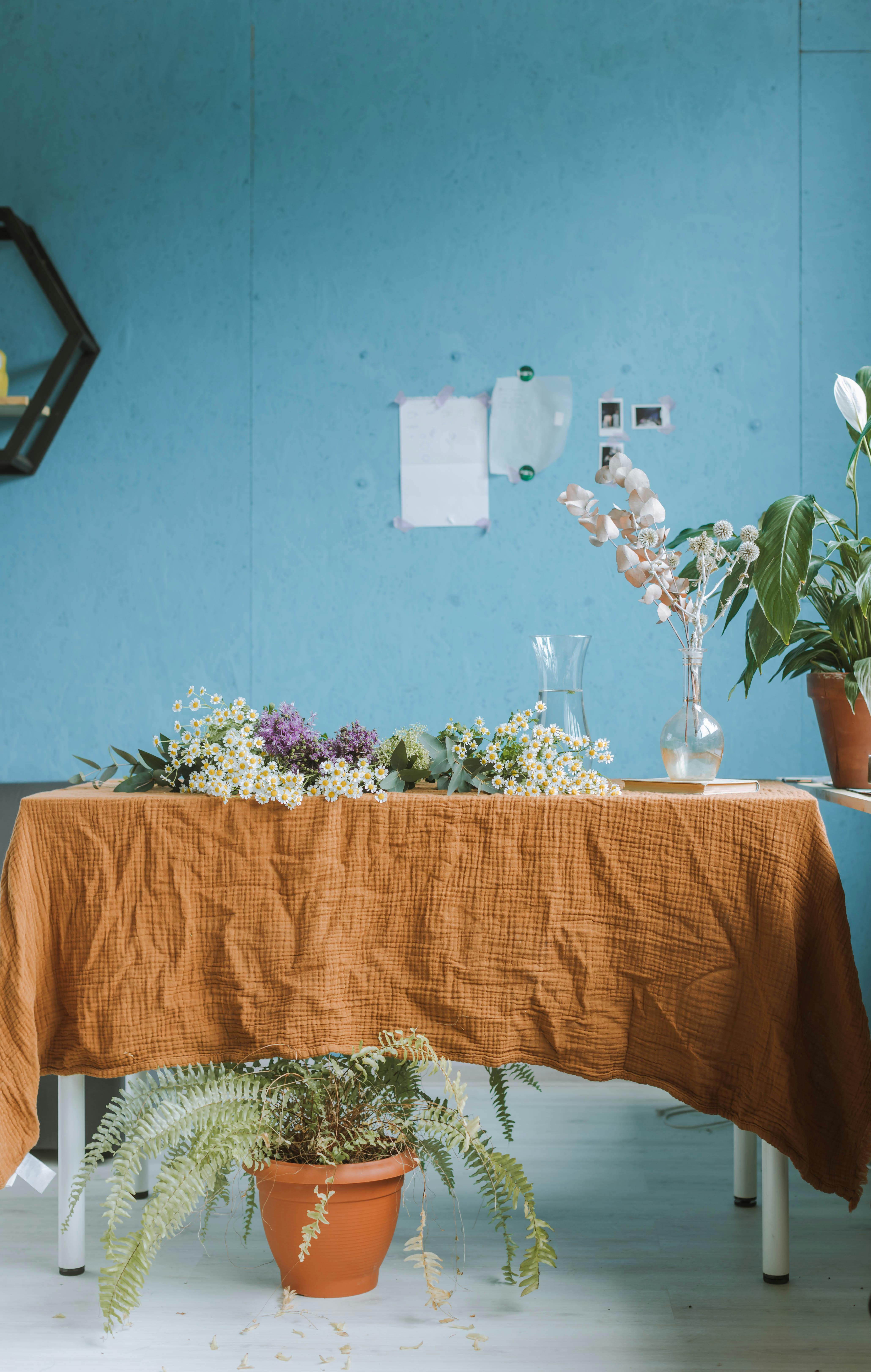 Plants Inside A Pot · Free Stock Photo