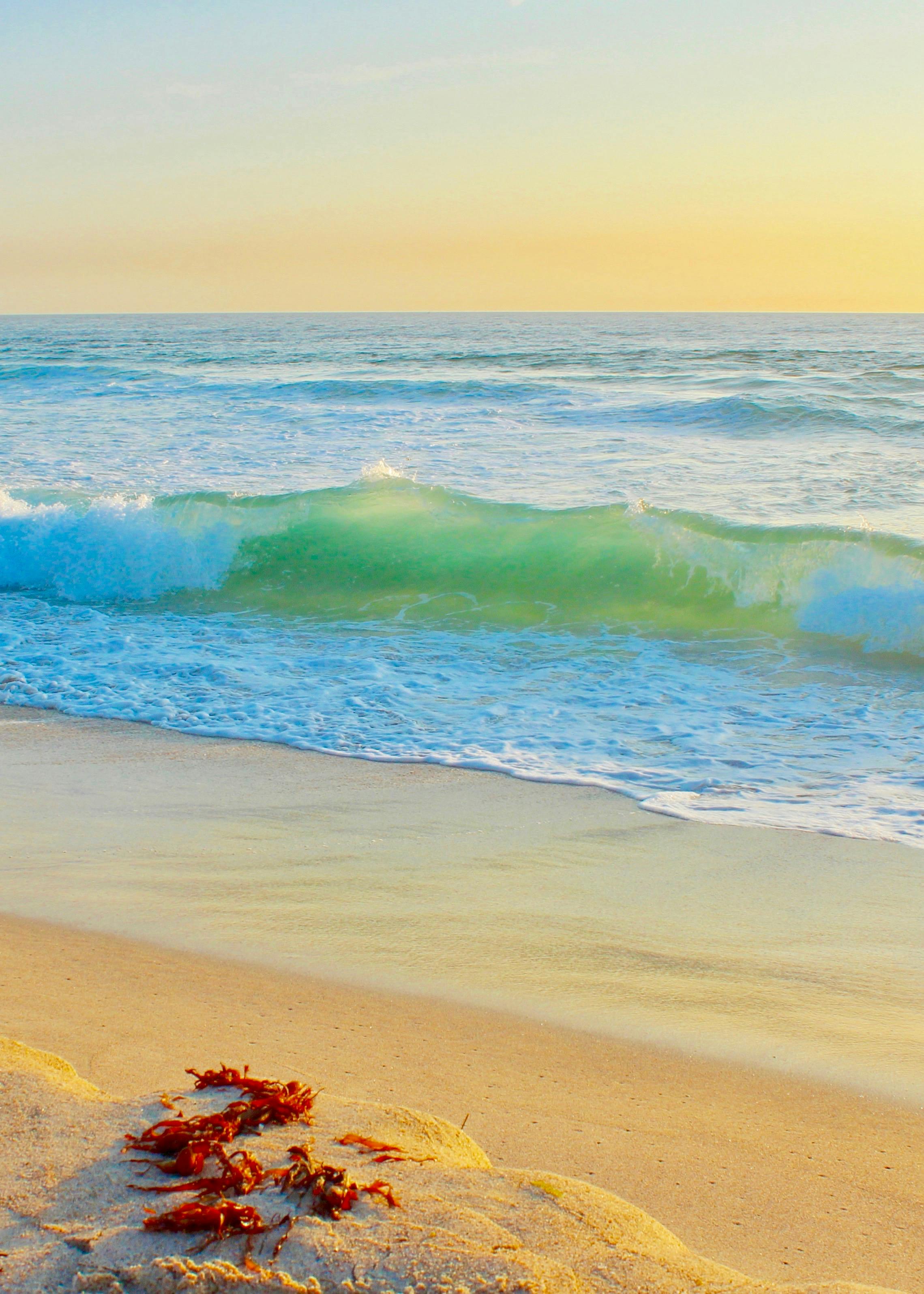 Close-up Photo of Beach · Free Stock Photo