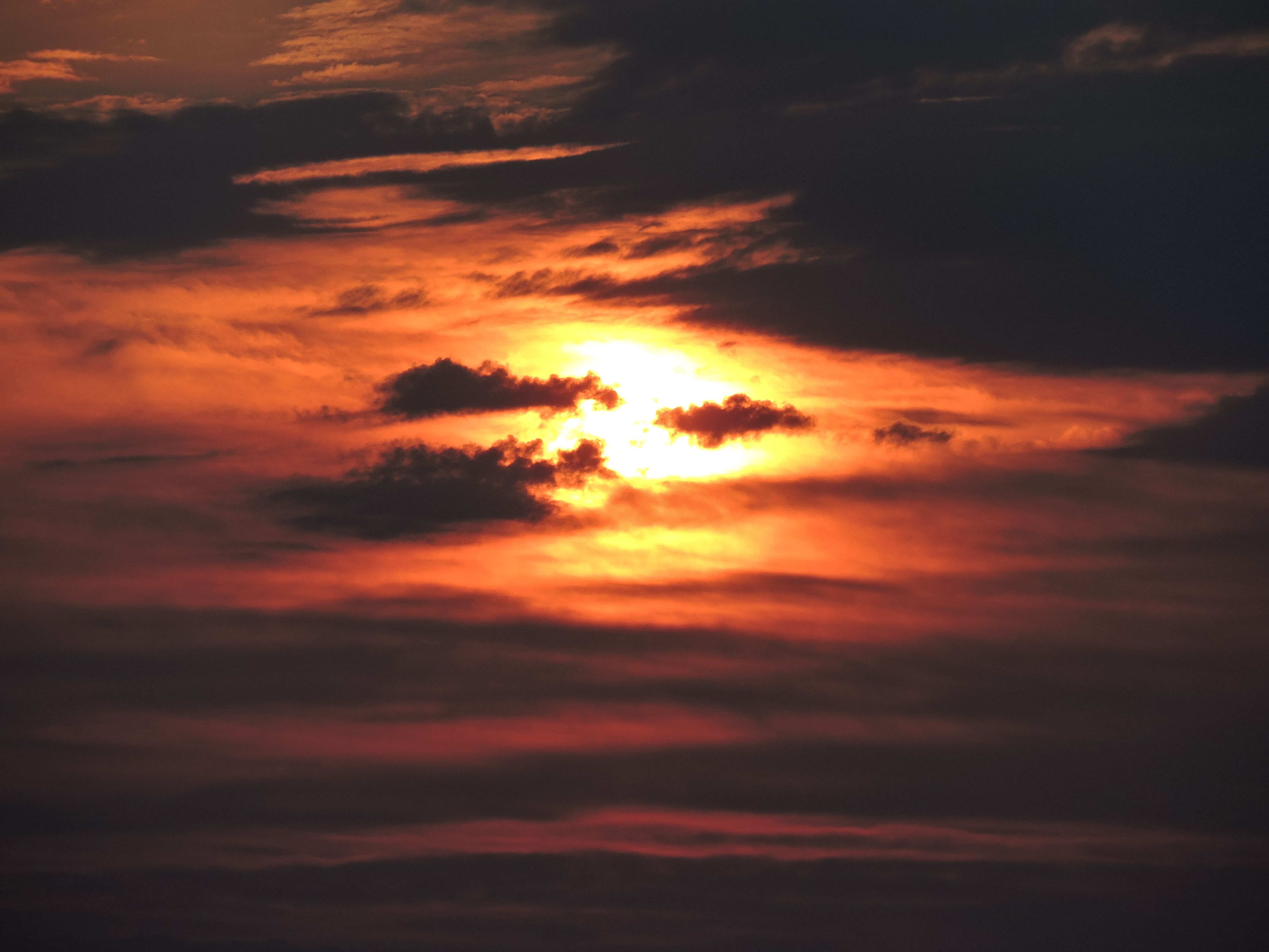 Free stock photo of orange, sunset