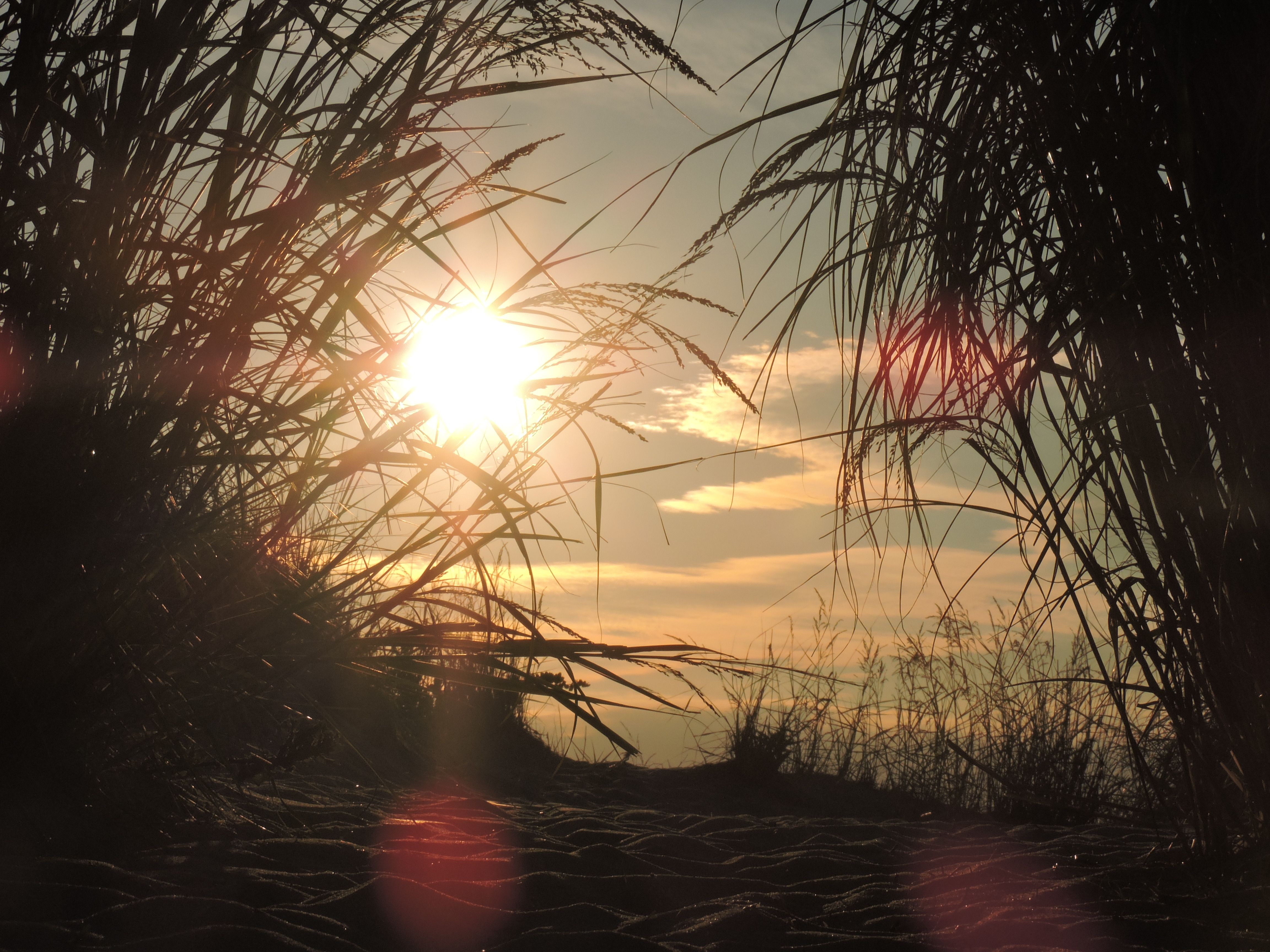 Free stock photo of orange, sunset