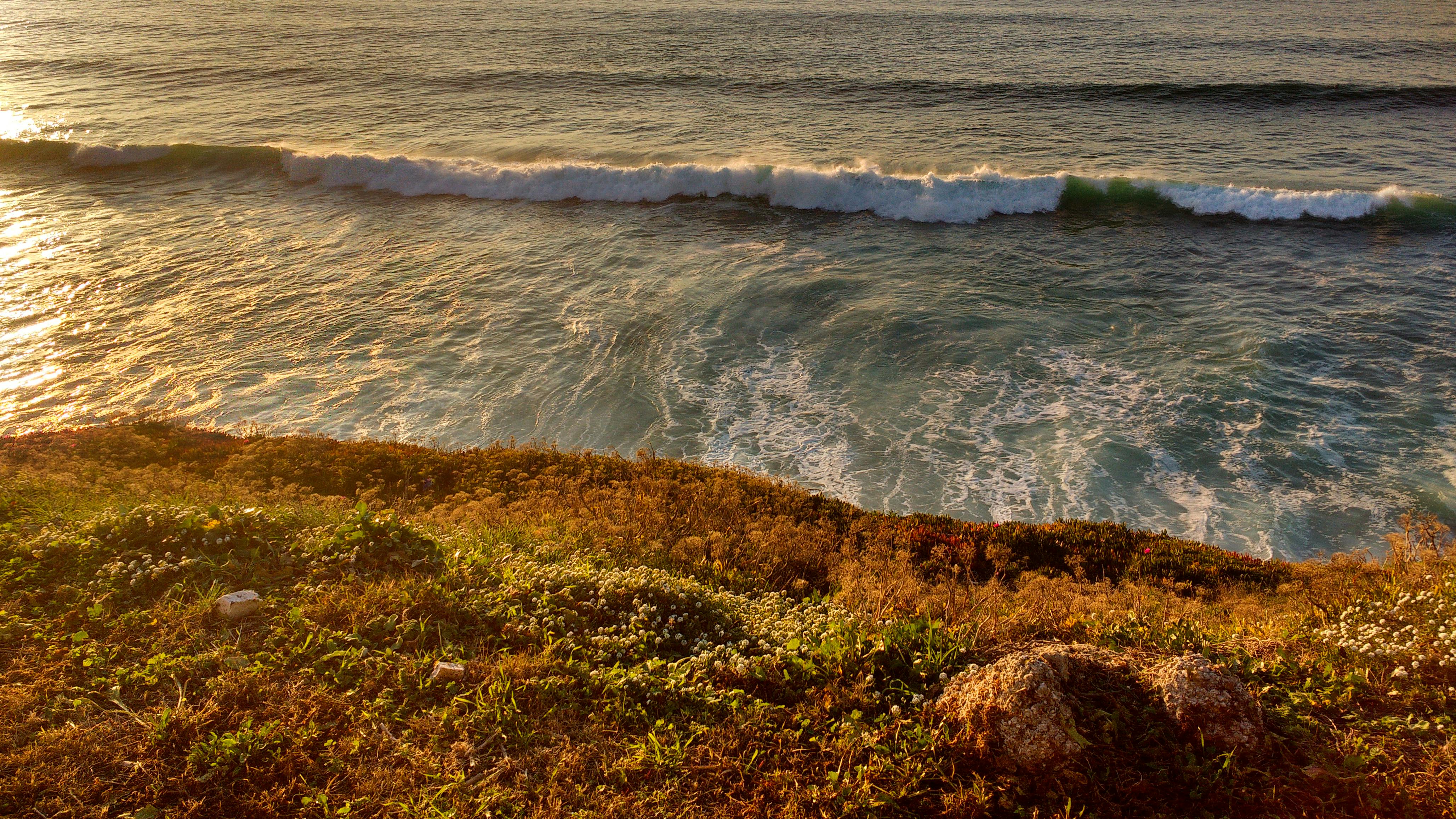 Brown Sand Beach · Free Stock Photo