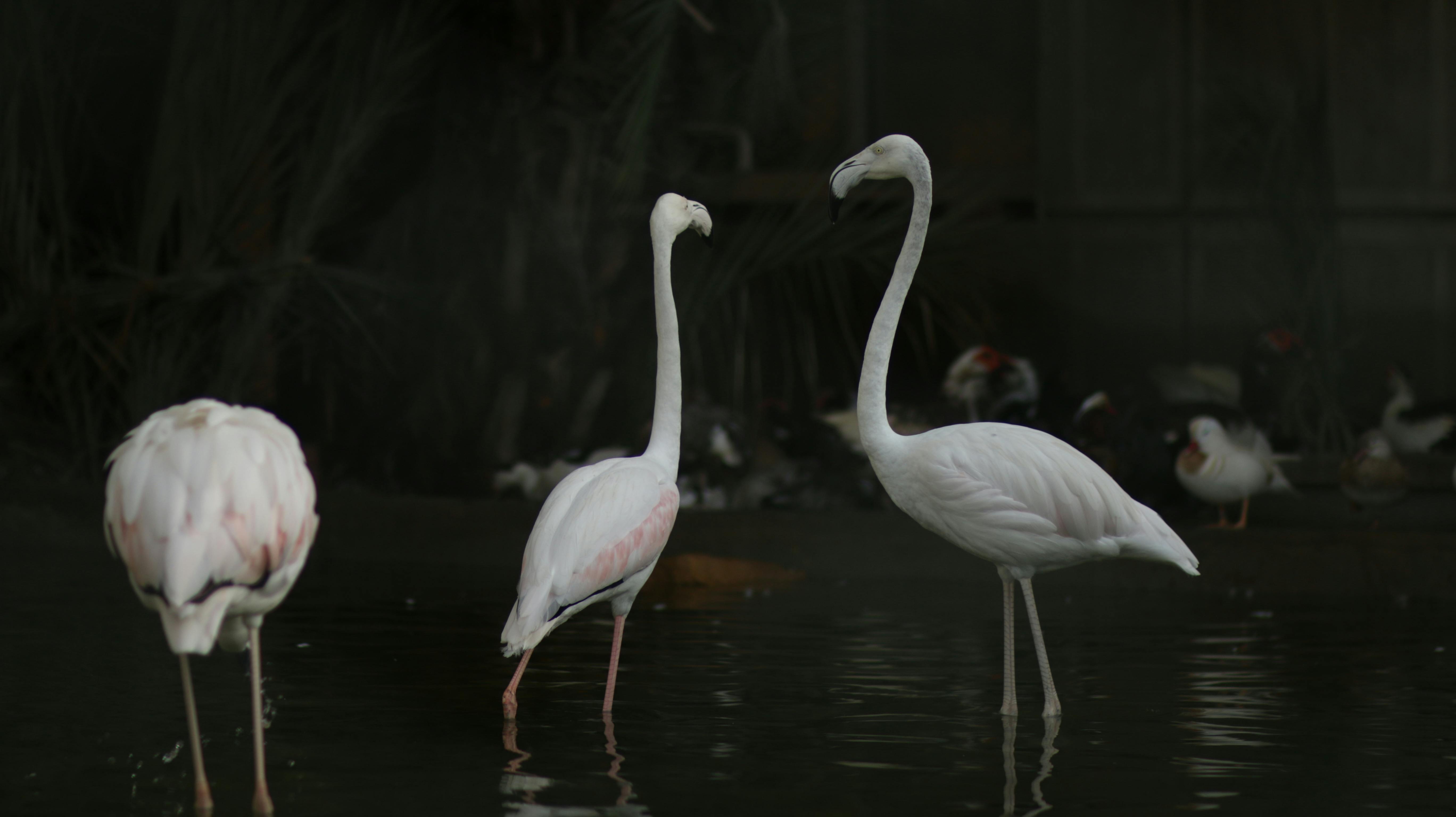 Meri Pics 8 Photos & Videos Collected by Kazafi Narejo