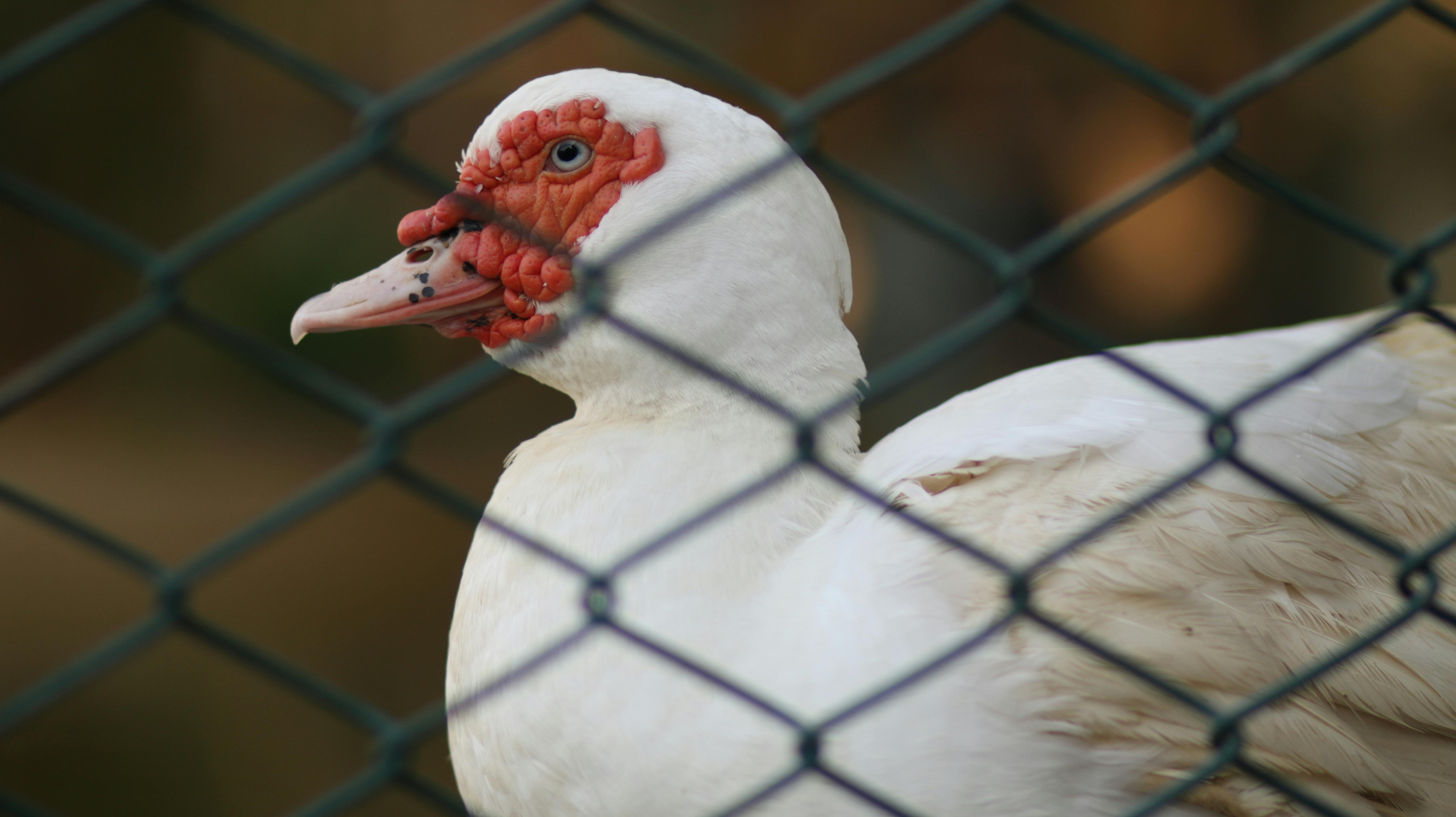 Meri Pics 8 Photos & Videos Collected by Kazafi Narejo