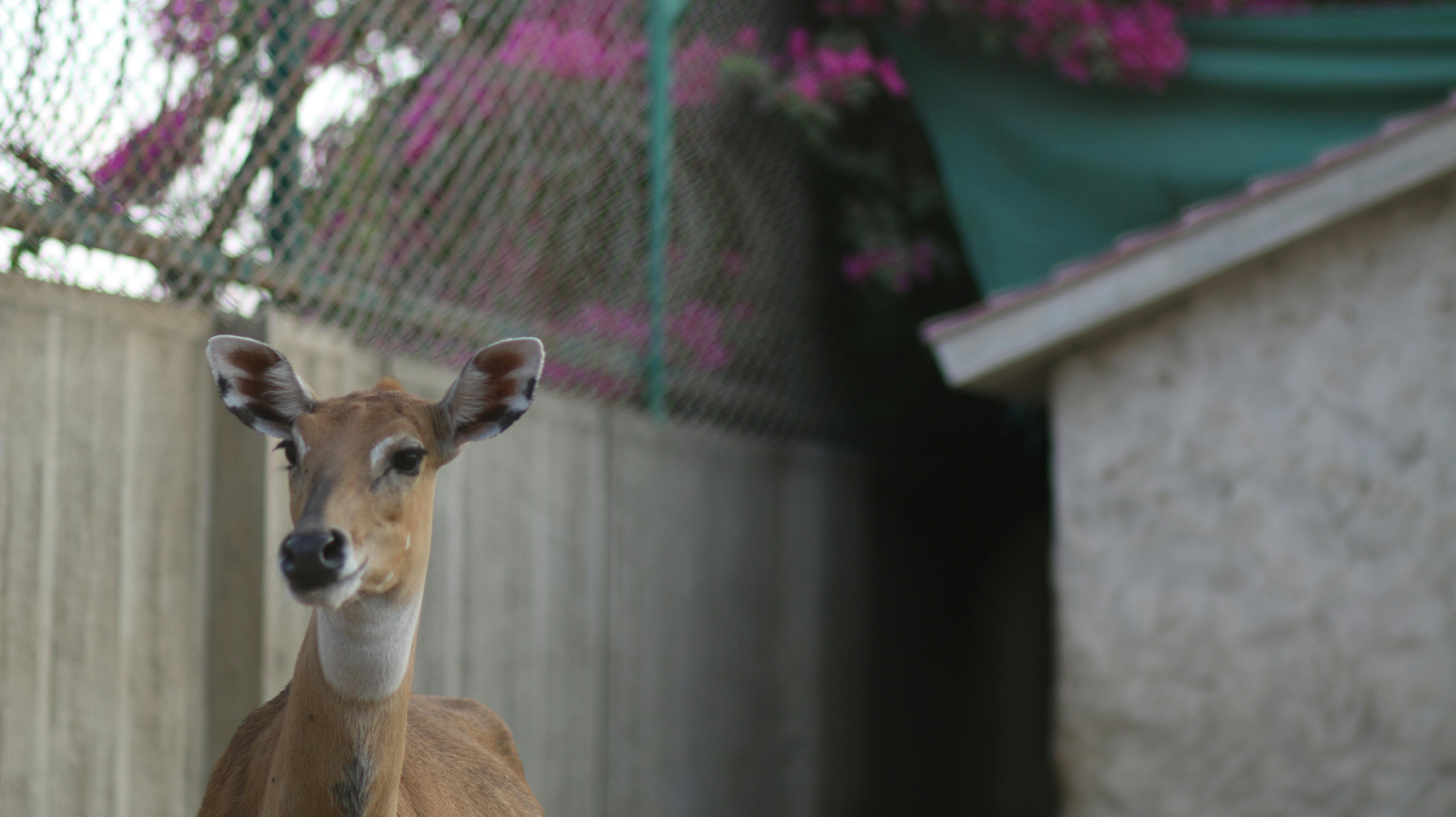 Meri Pics 8 Photos & Videos Collected by Kazafi Narejo