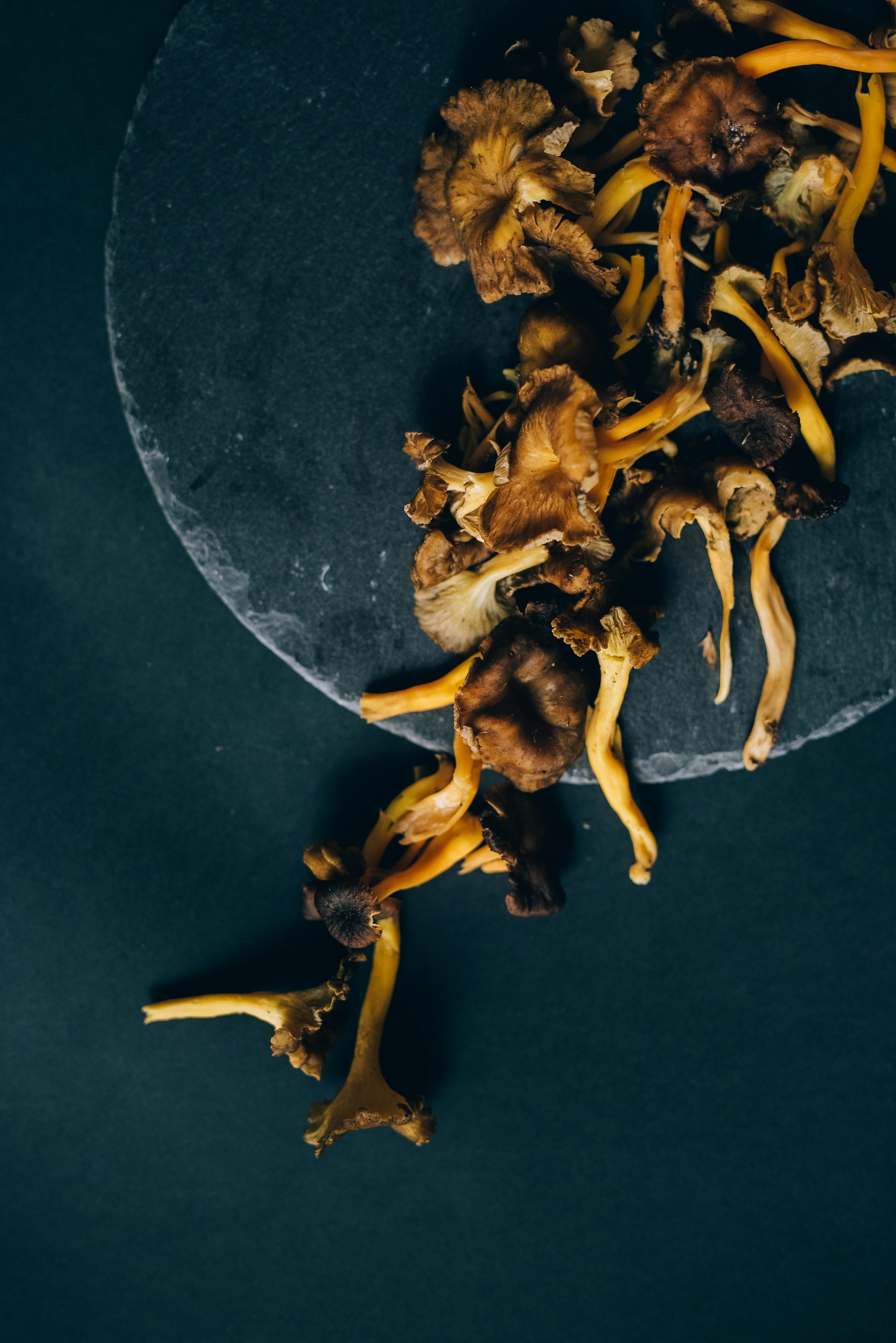 Non Perishable Food Background Photos, Download The BEST Free Non ...