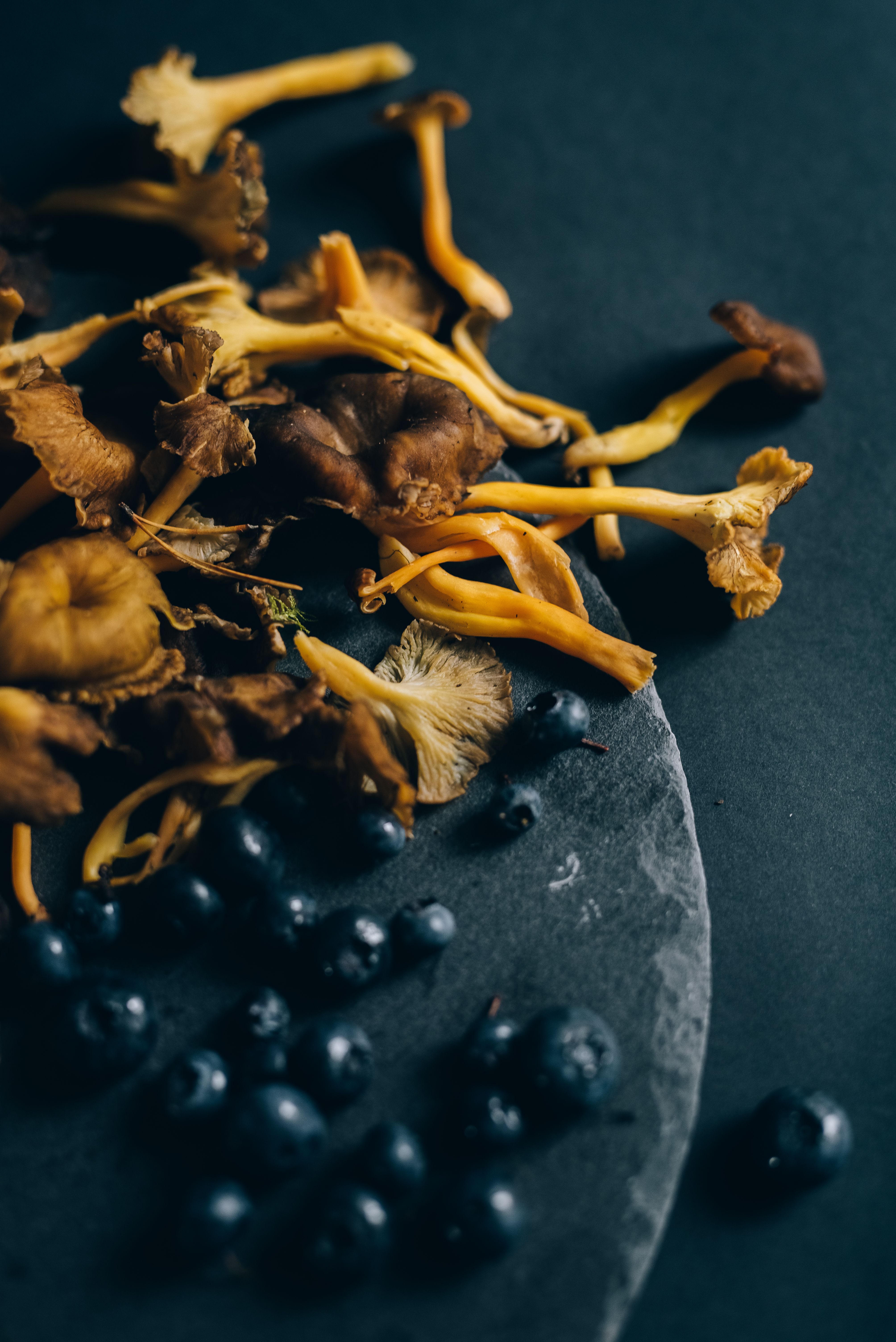 Dried Blueberry Photos Download Free Dried Blueberry Stock Photos Hd
