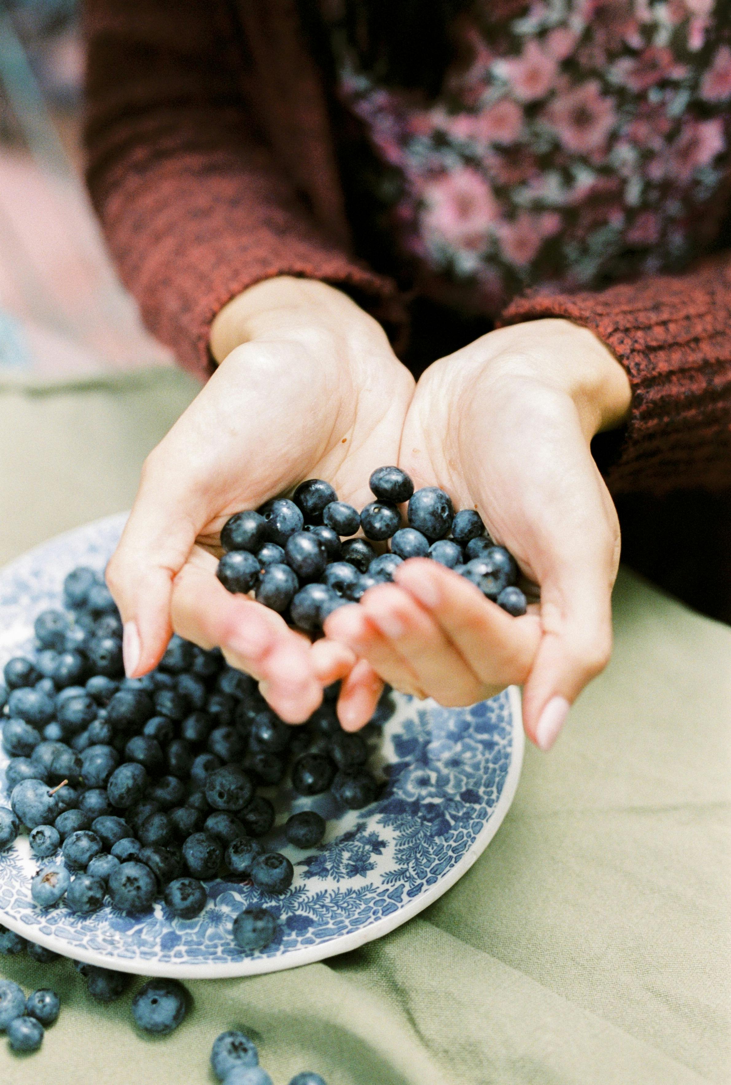 A Handful of Blueberries in Close-Up Photography · Free Stock Photo
