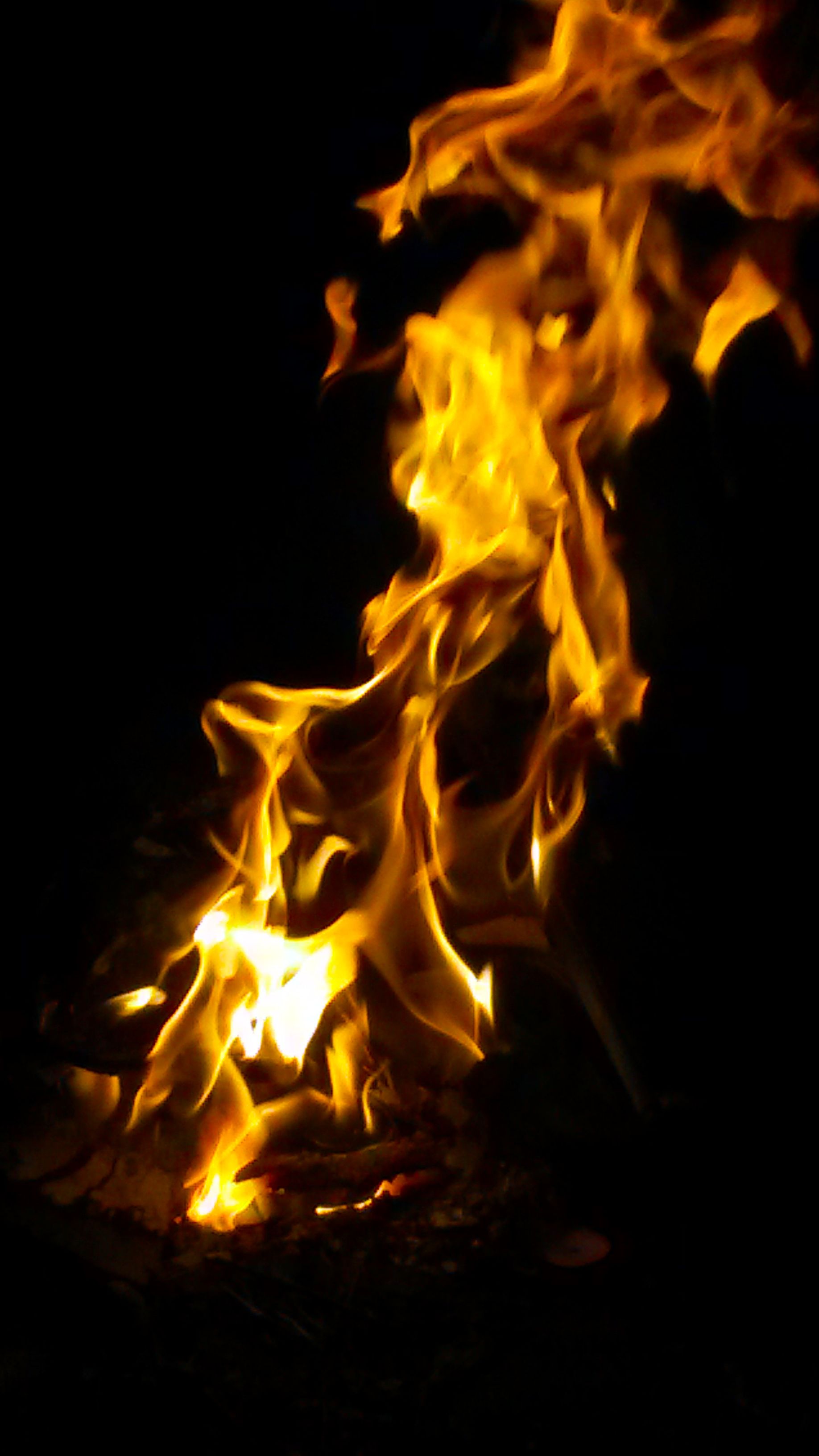 Free stock photo of fire, light