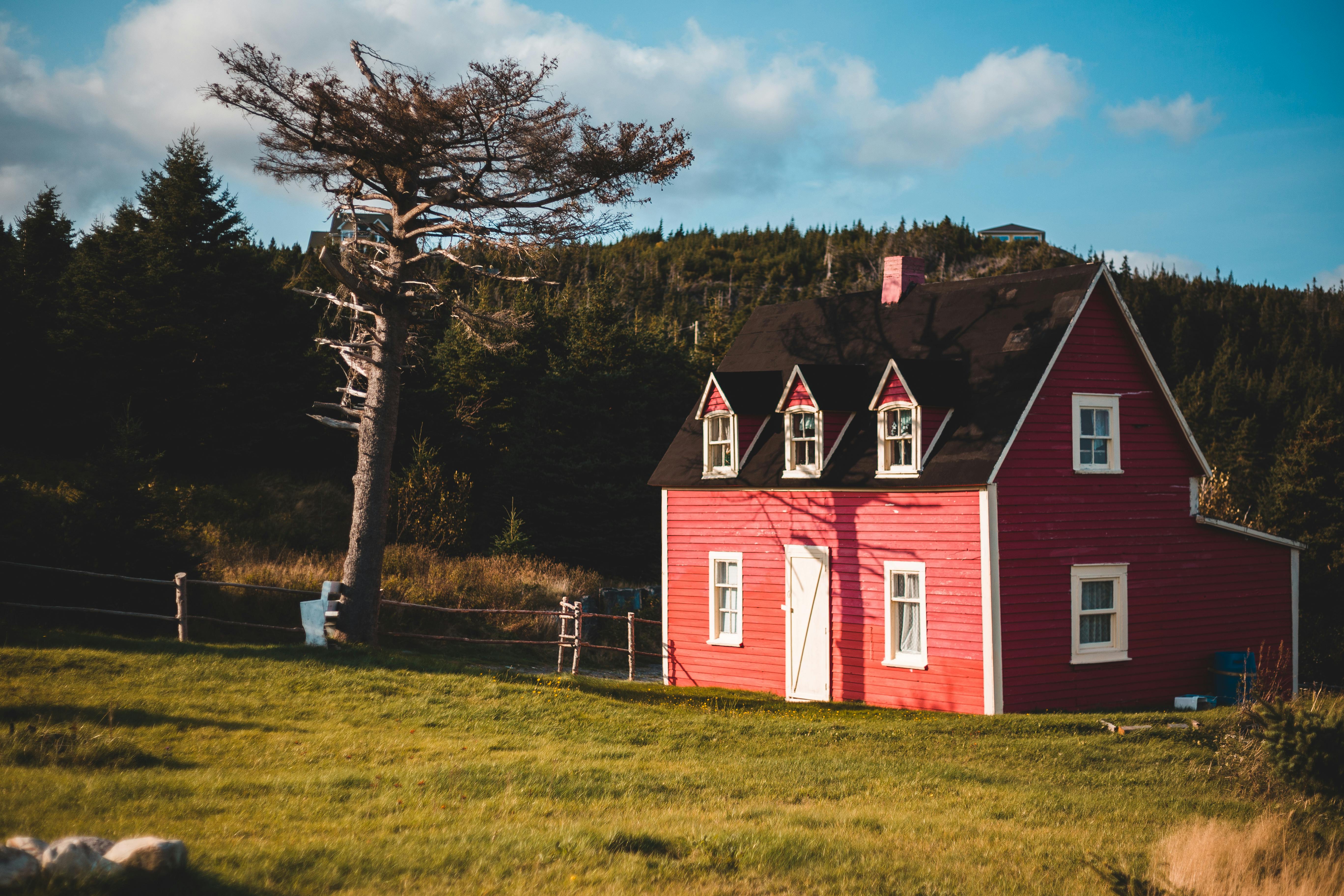 Old rural house facade on lawn behind greenery mount · Free Stock Photo