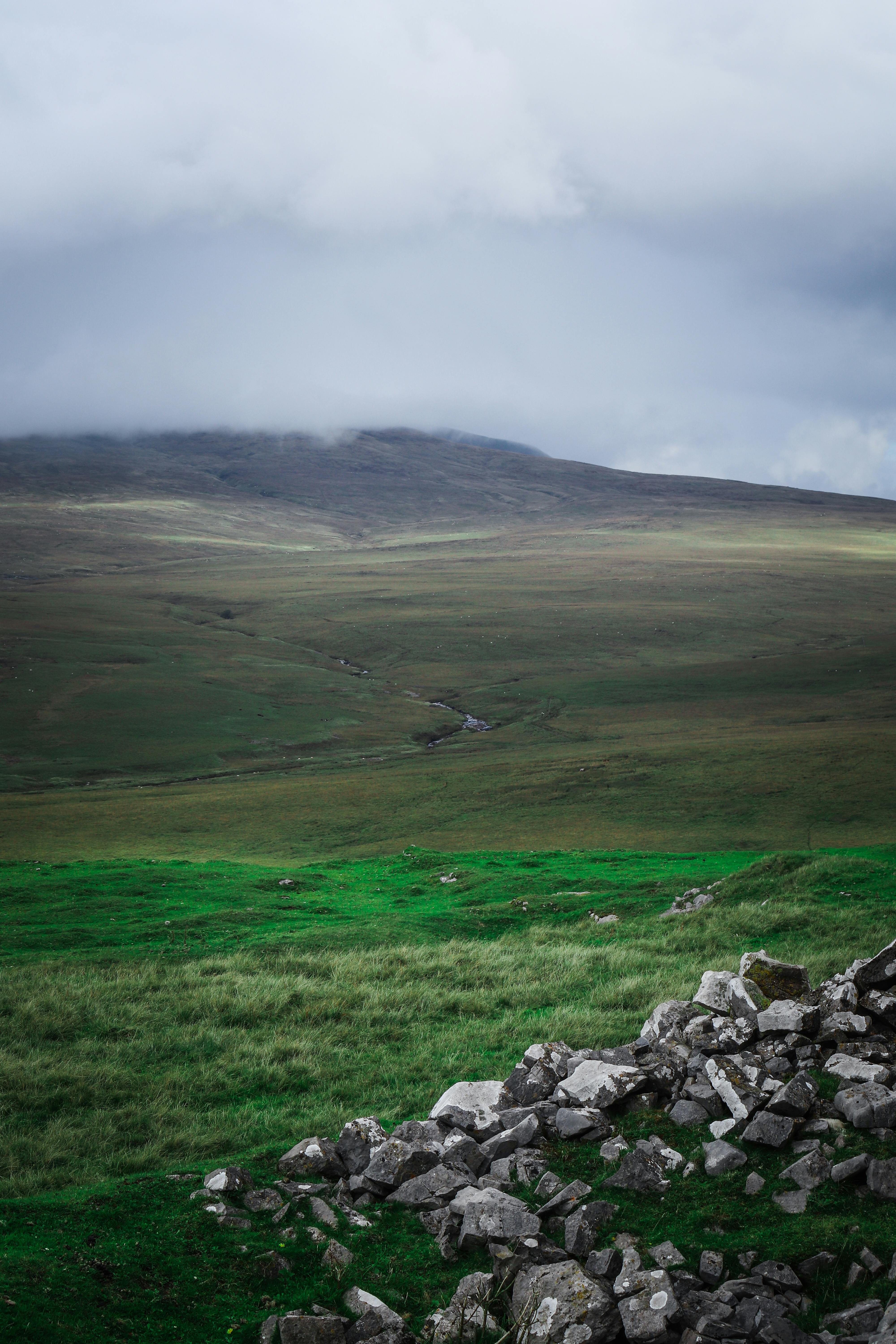 Endless grassy terrain in overcast weather · Free Stock Photo