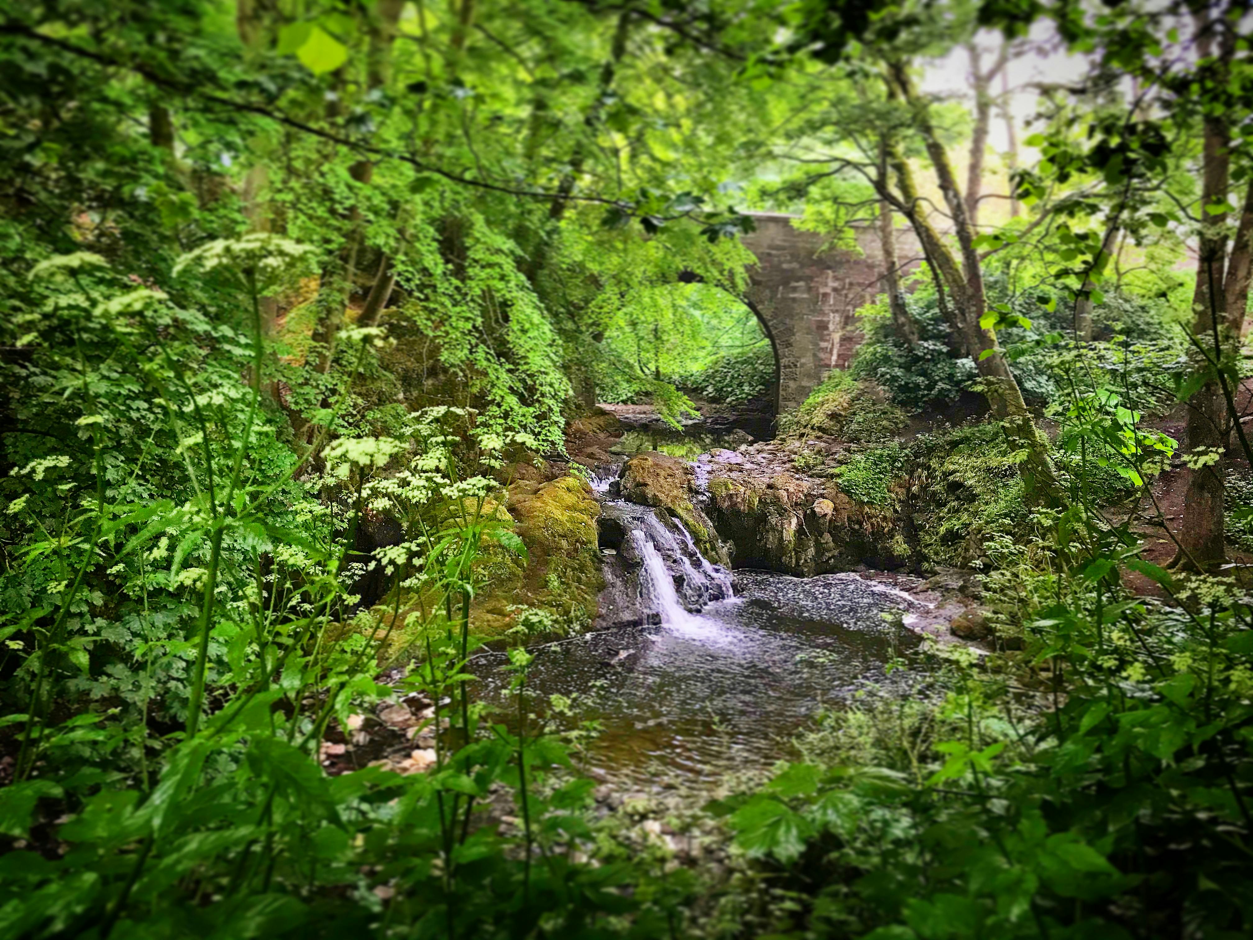 Barry Stuart - Fotografía