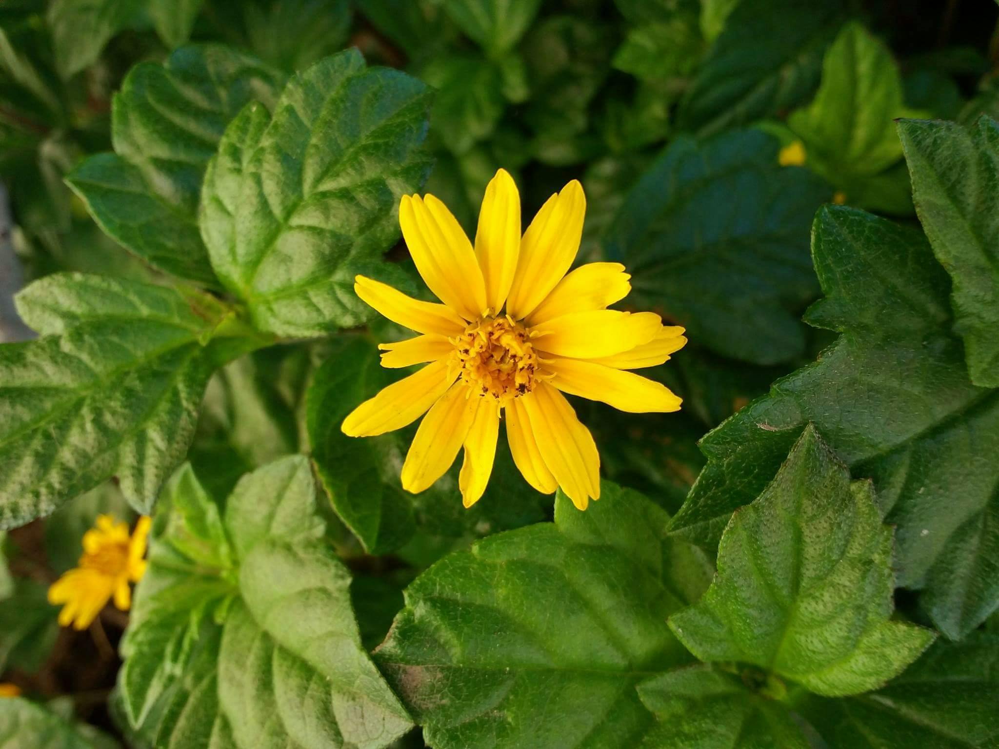 Free stock photo from Eslam · Pexels