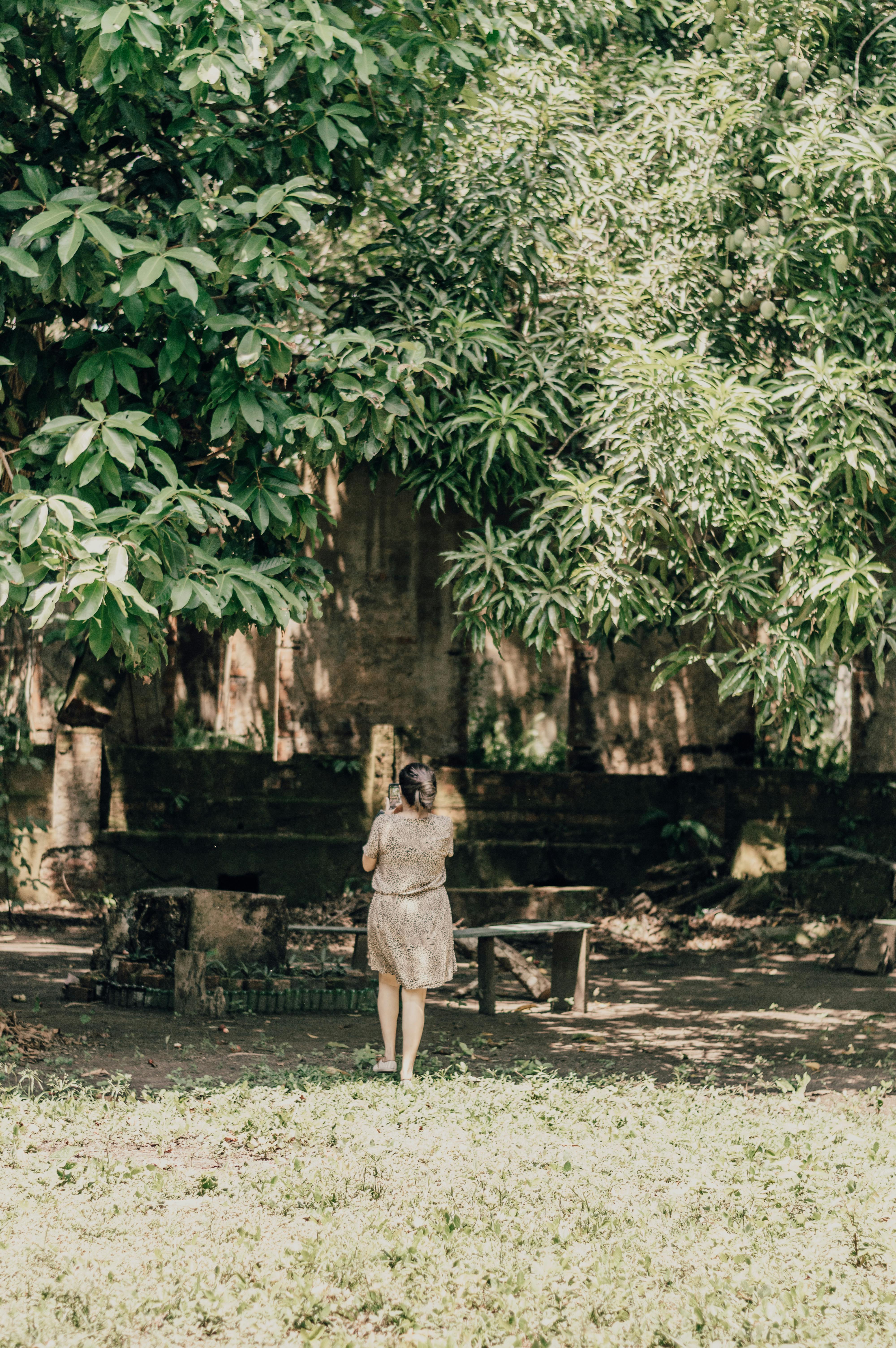 Person pulling a Tree Branch while walking · Free Stock Photo