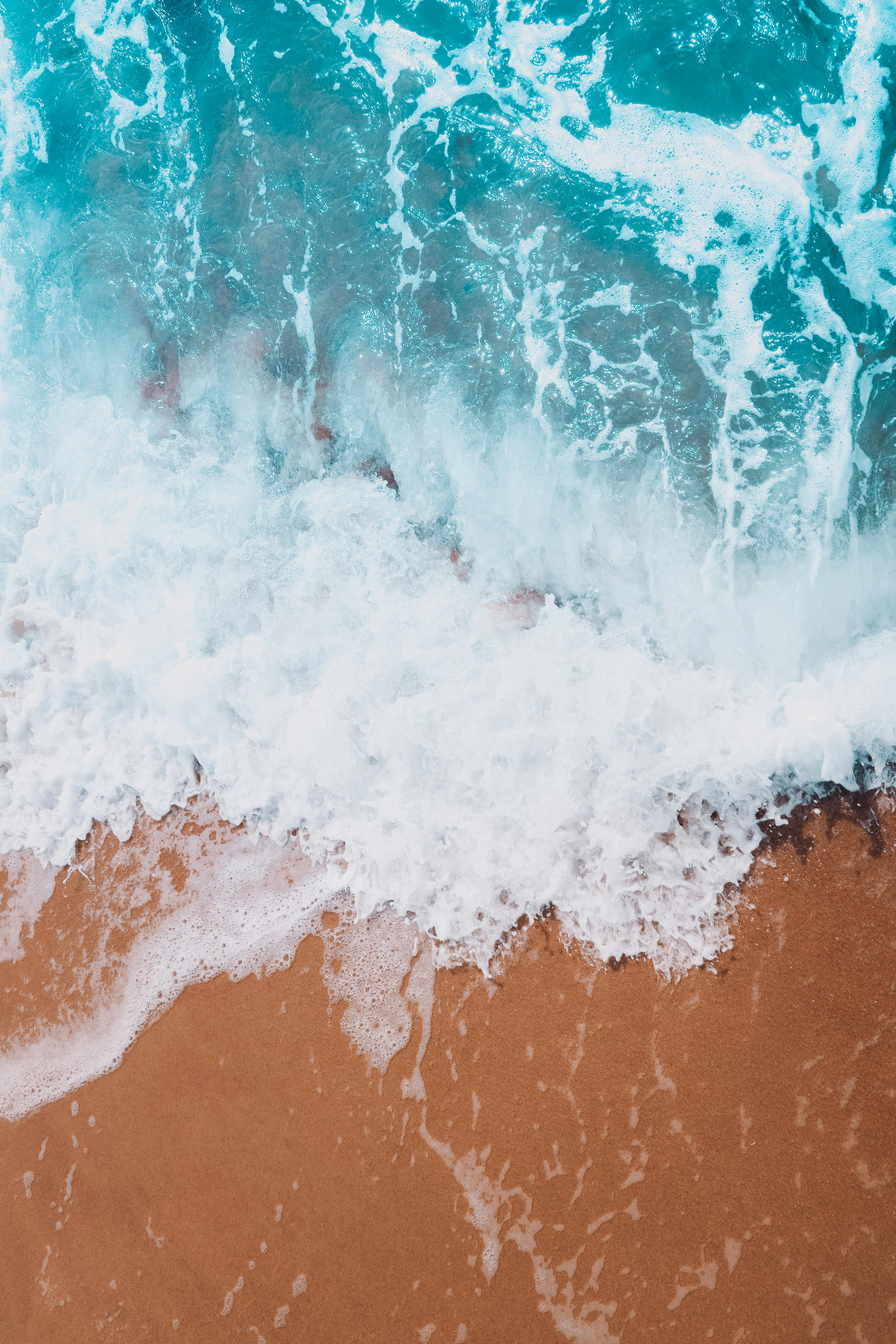 Seashore · Free Stock Photo