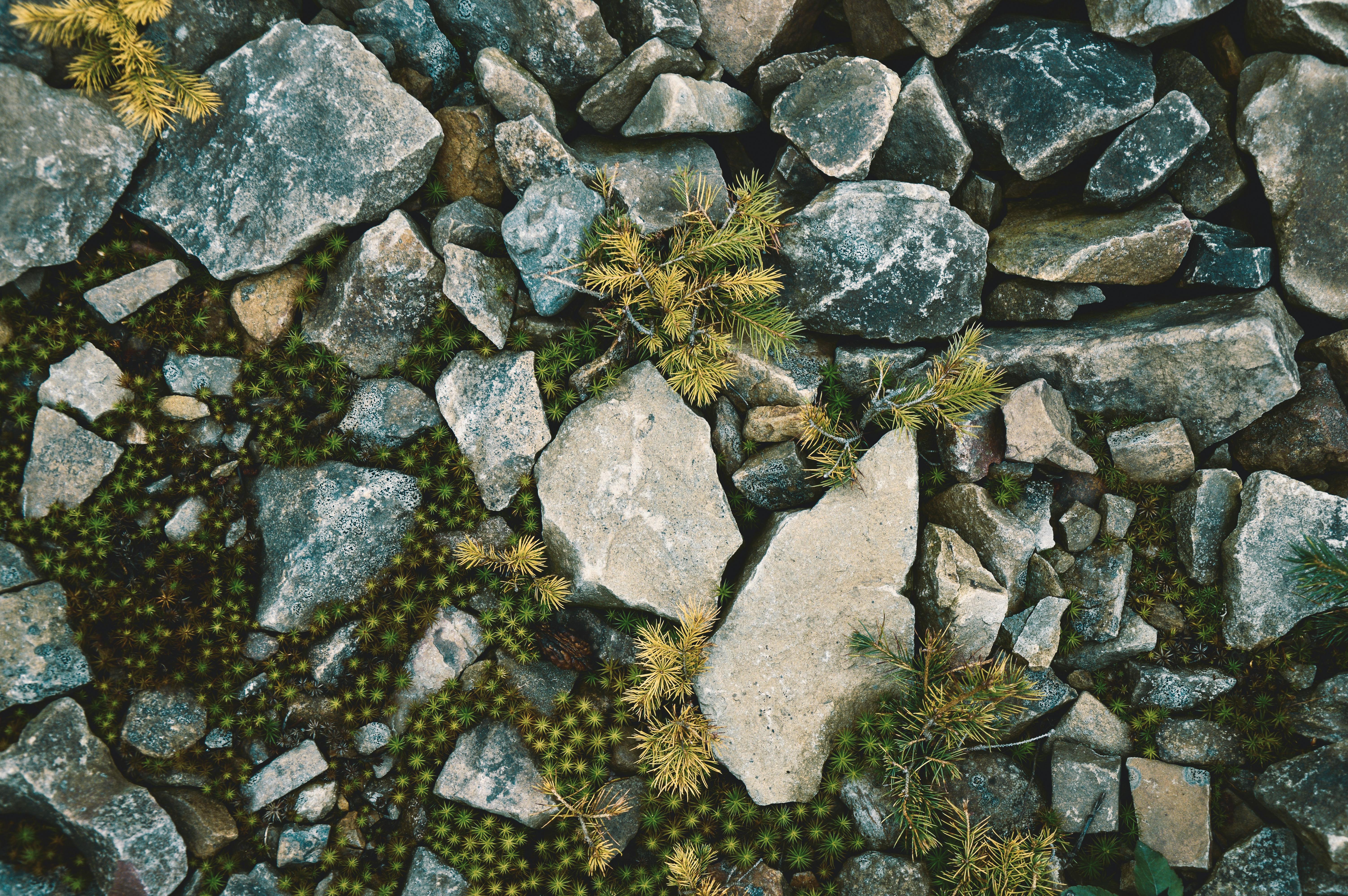 Top View Photo of Boulders · Free Stock Photo