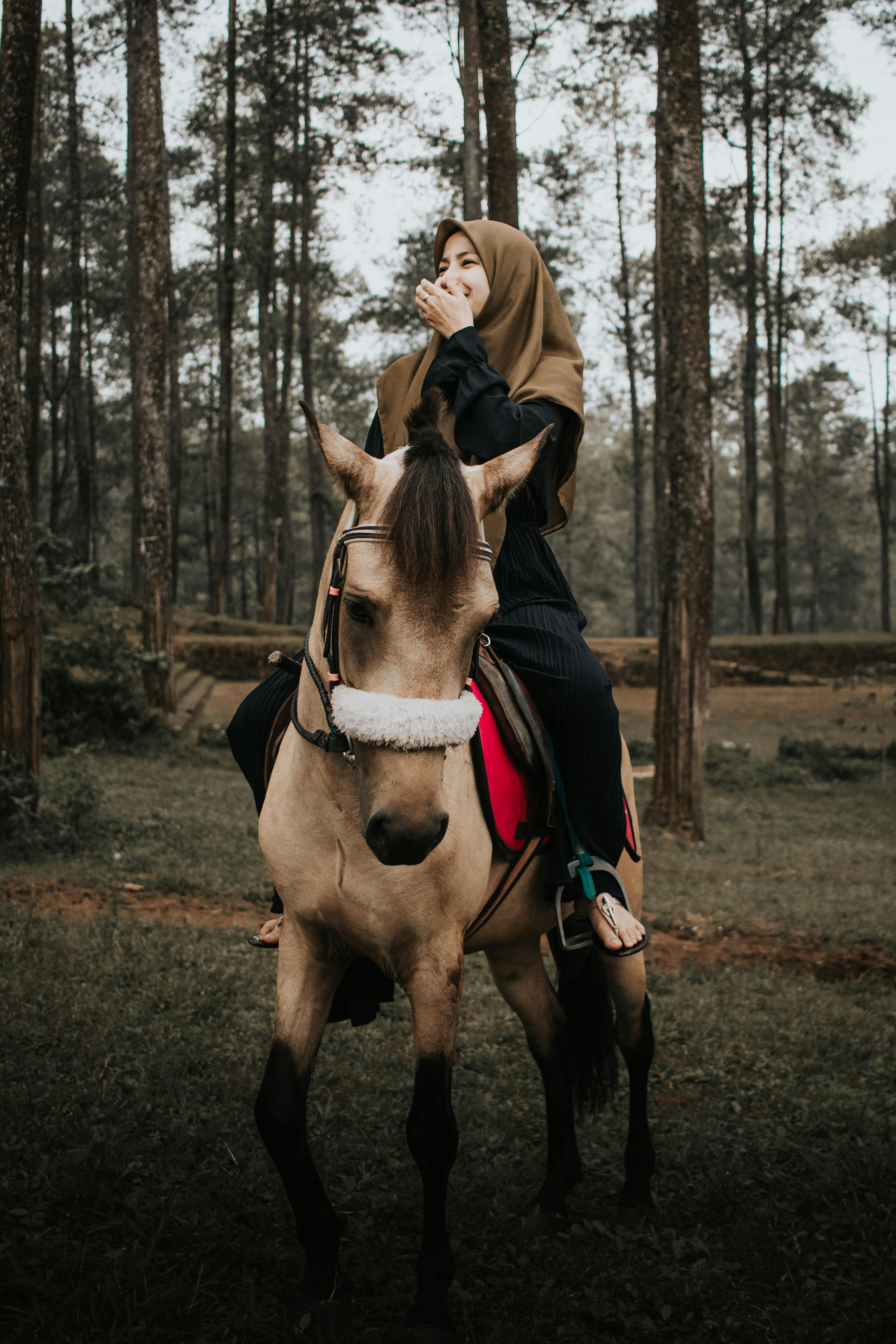 Cheerful Muslim woman riding pony in forest · Free Stock Photo