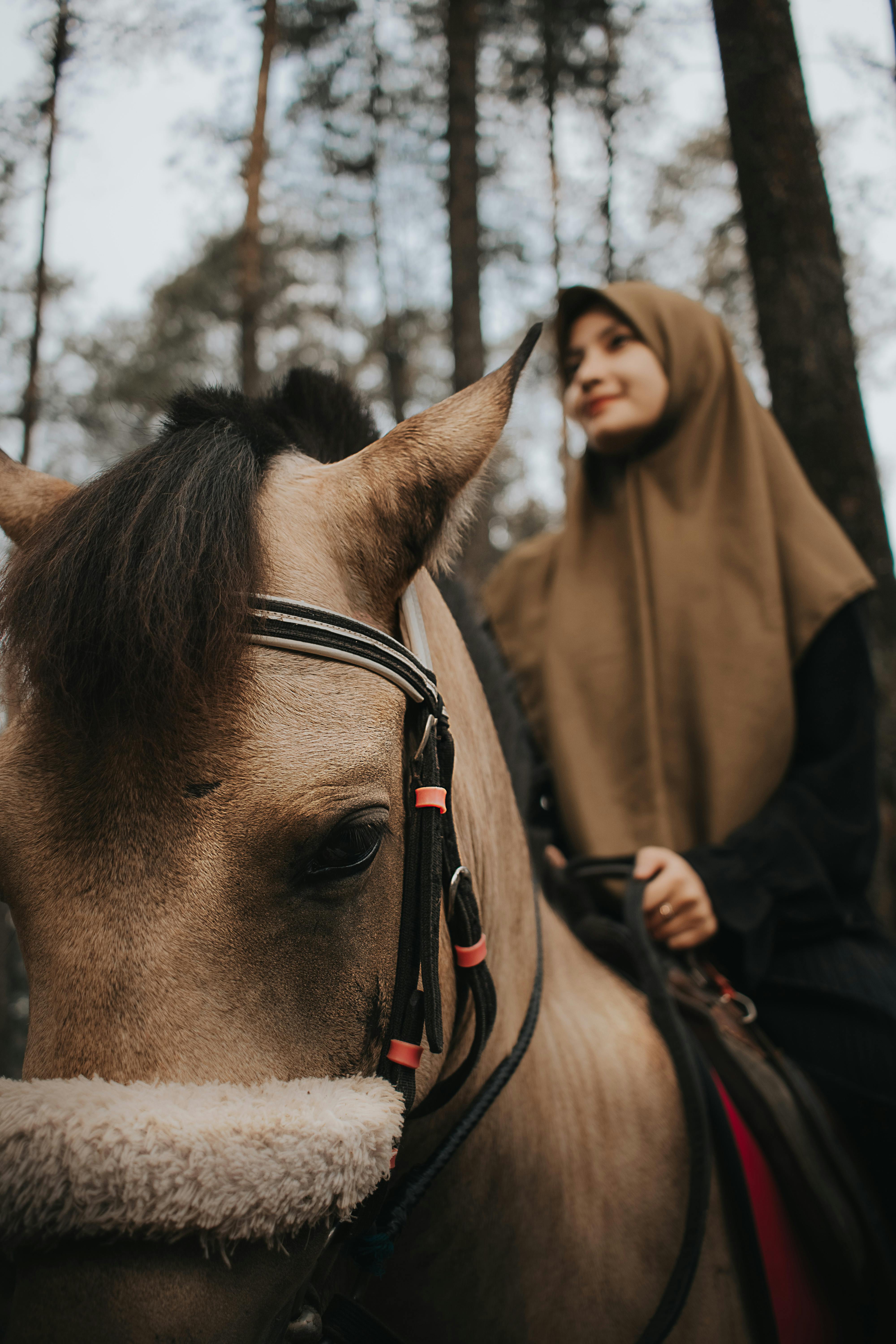 Muslim woman riding horse in woods · Free Stock Photo