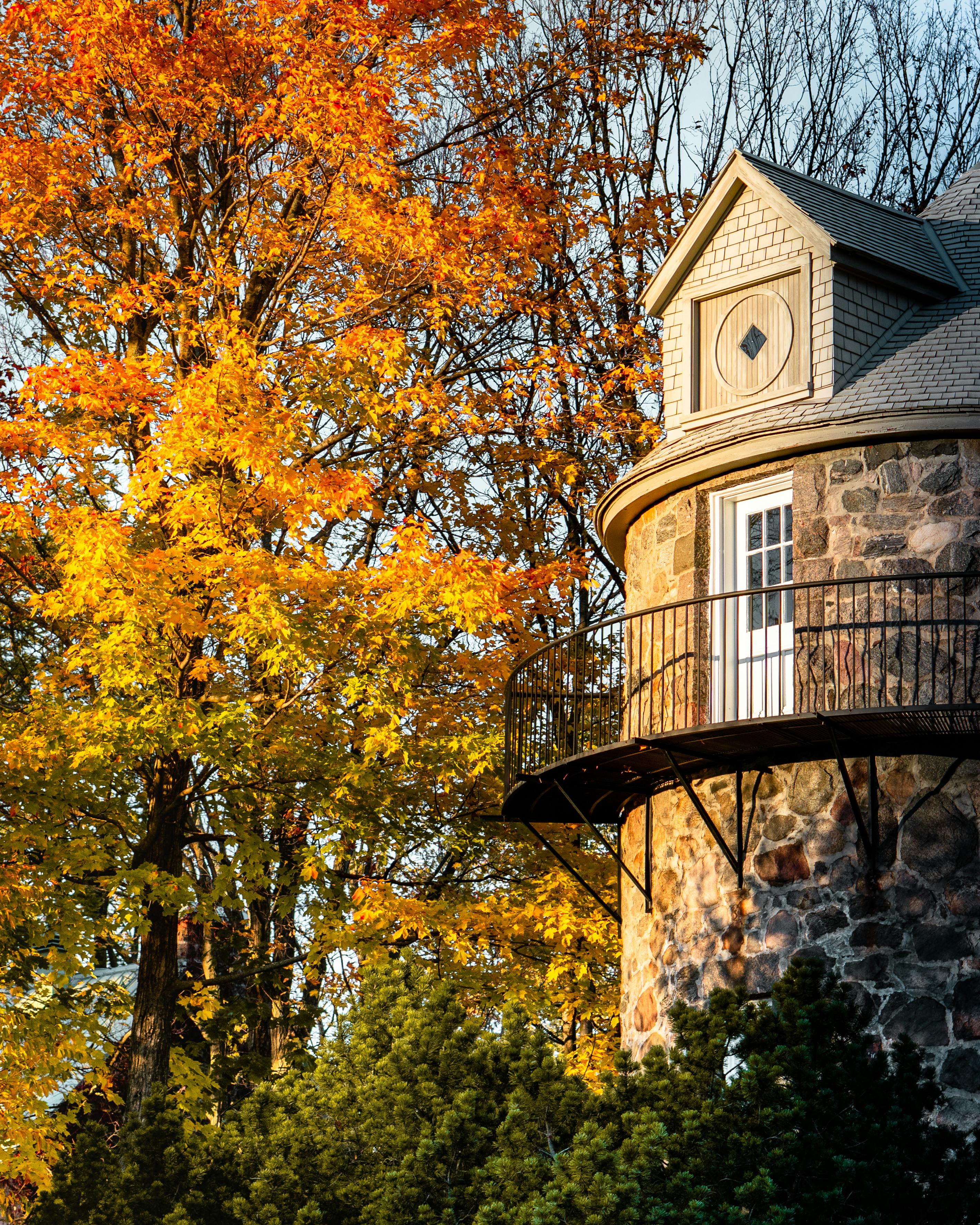 Stone House near a Tree · Free Stock Photo