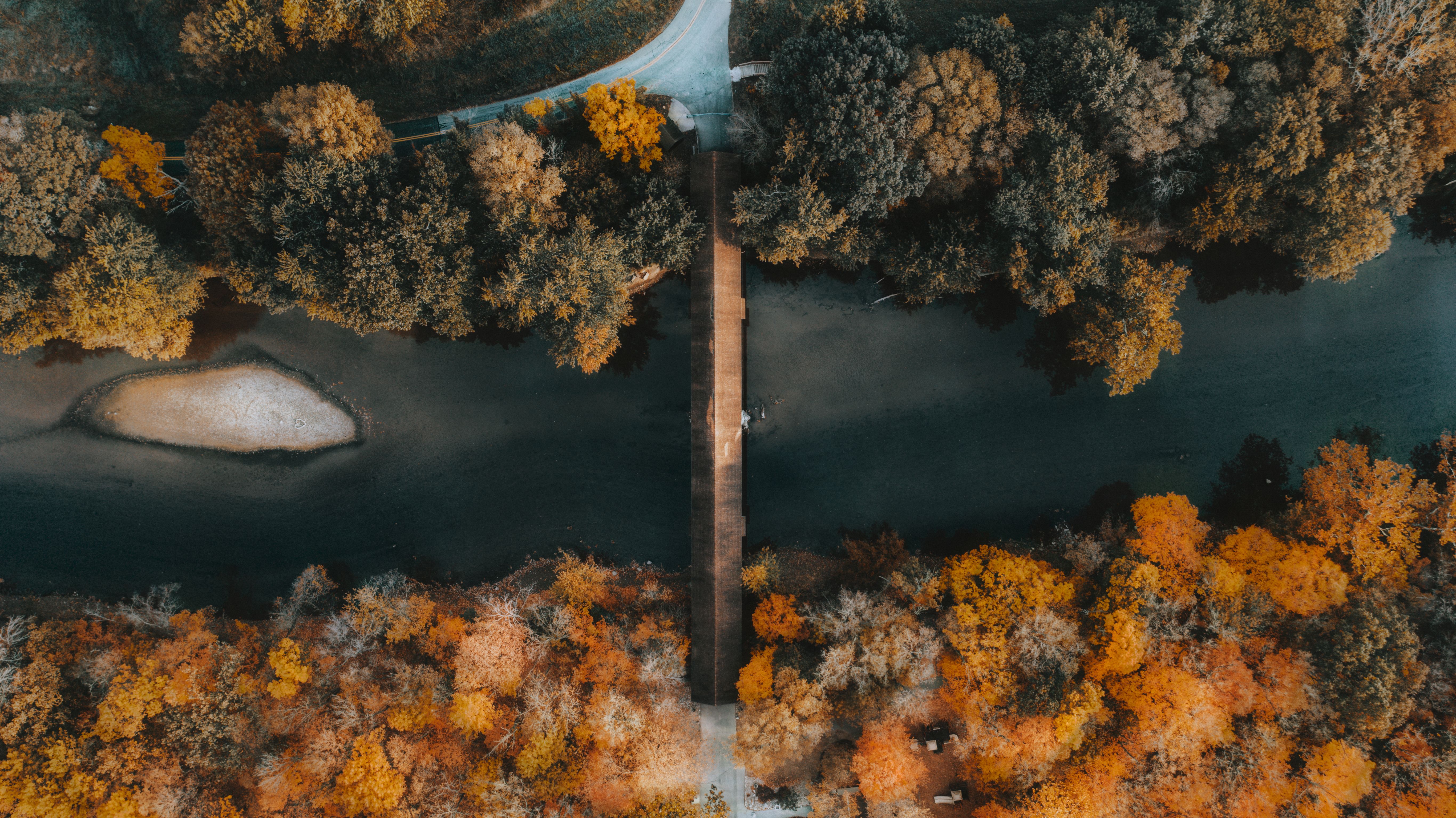 Bridge over river between autumn trees in daylight · Free Stock Photo