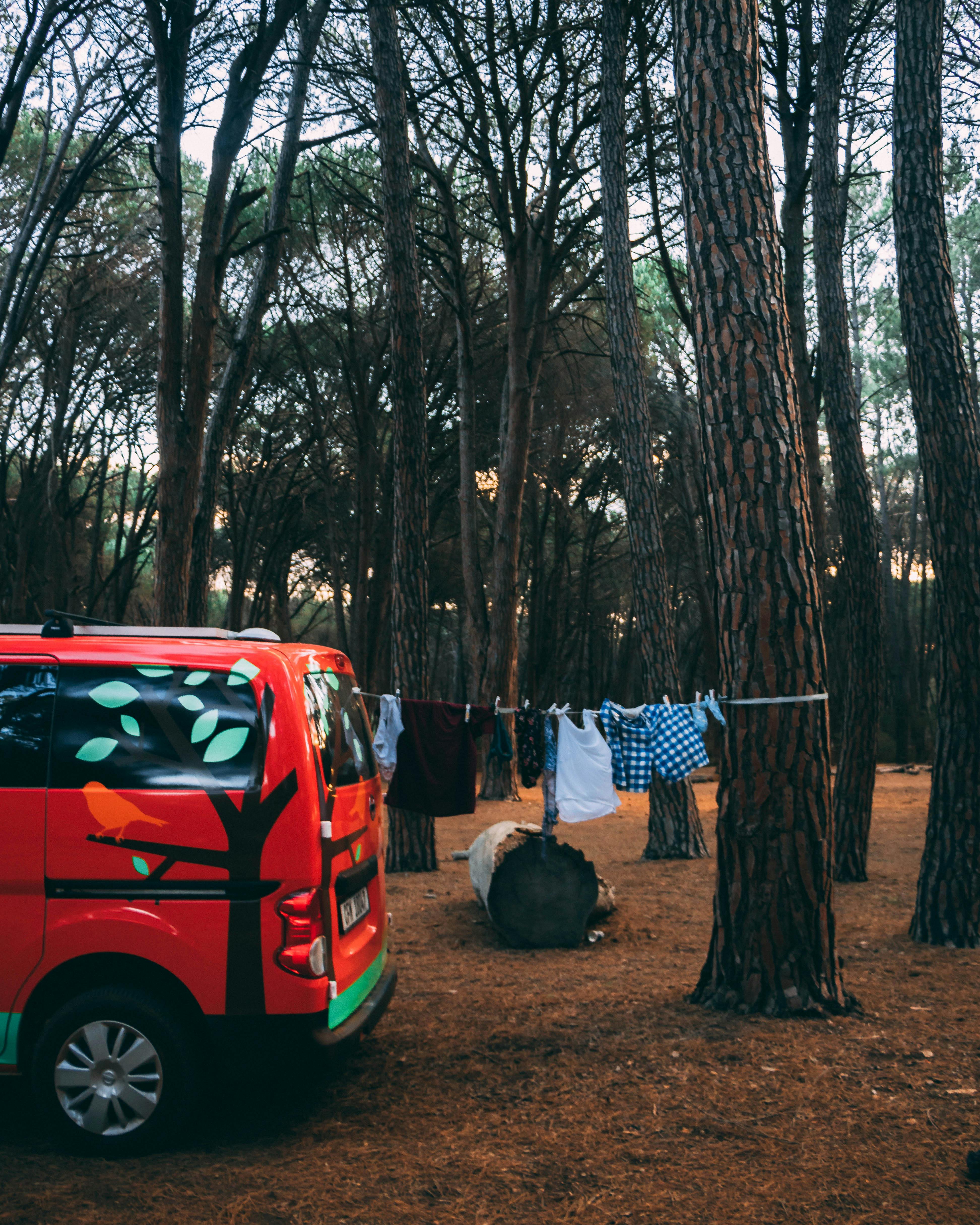 Camper Van on a Forest · Free Stock Photo
