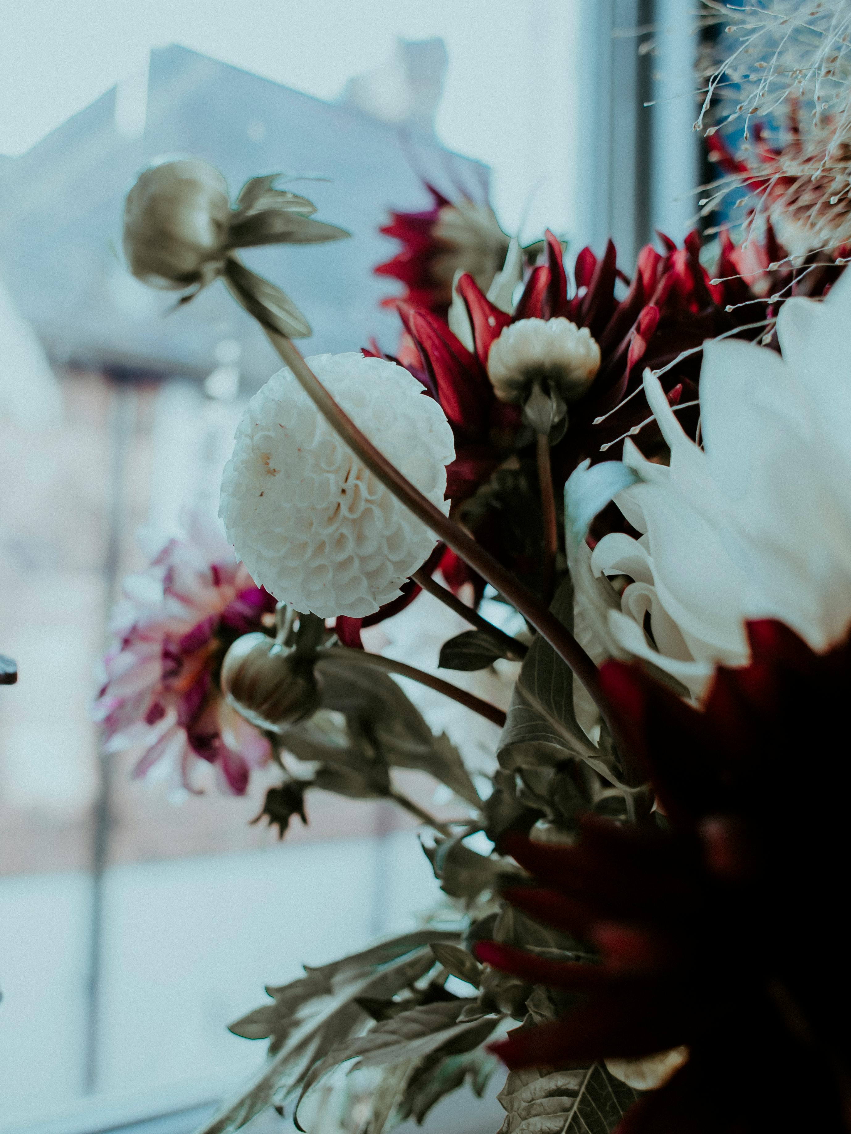Woman walking in bright flower field · Free Stock Photo