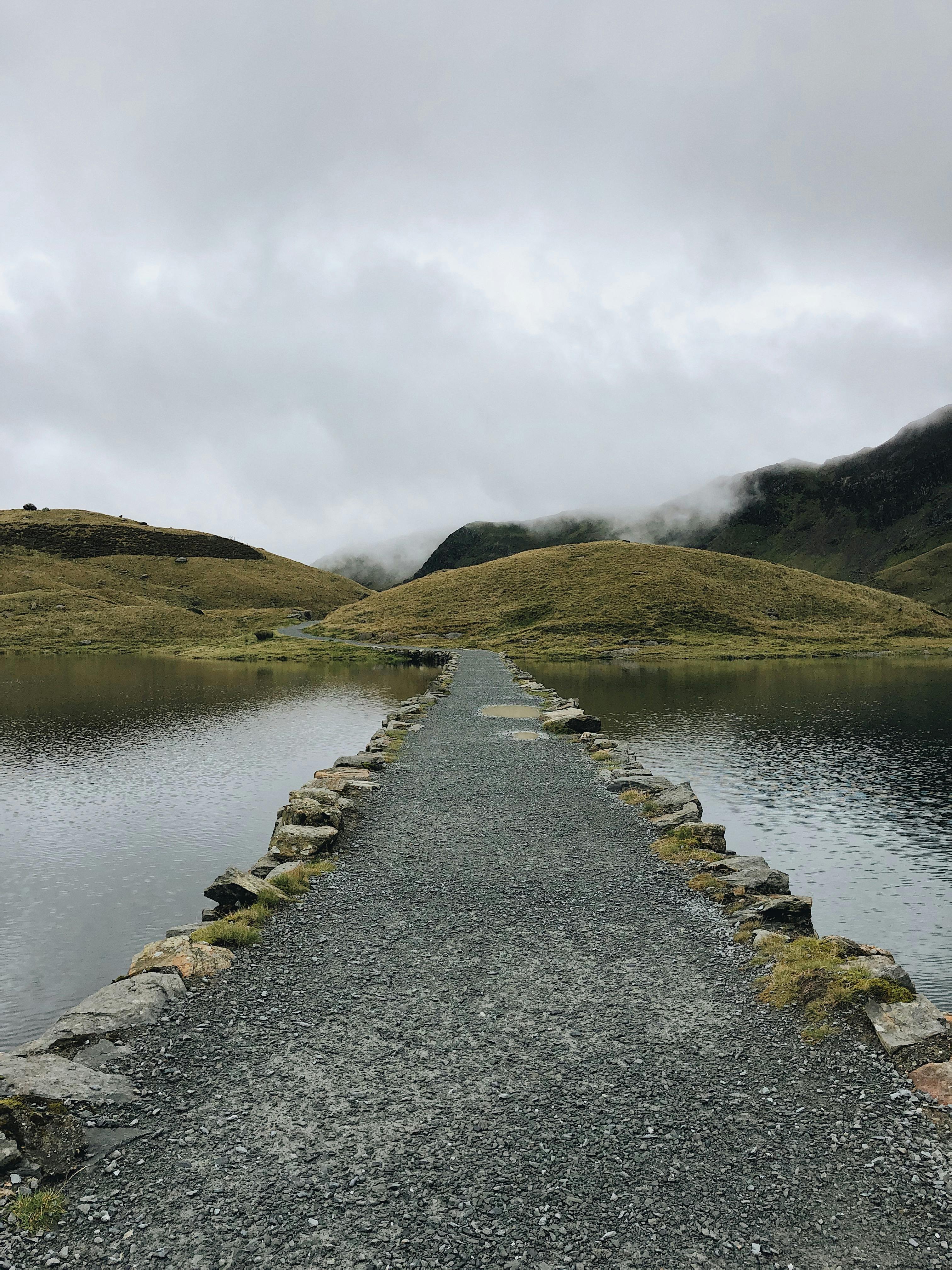 Unpaved Pathway Between Trees · Free Stock Photo