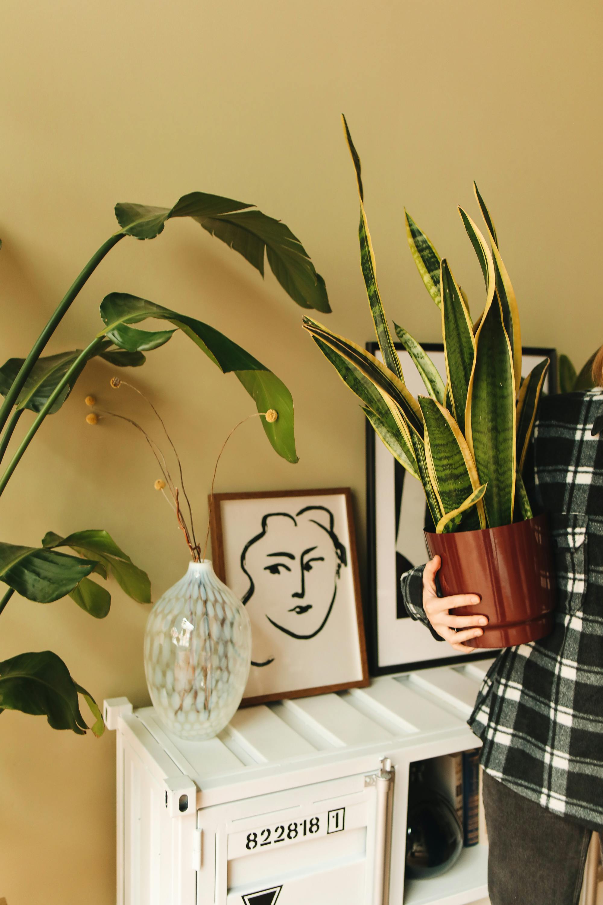 Detailed Vase Photos, Download The BEST Free Detailed Vase Stock Photos ...