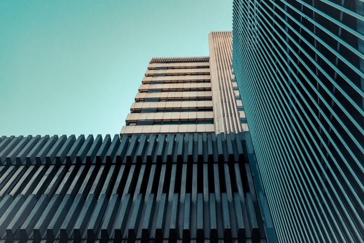 RSPCA Mission and Charitable Work Explained for Everyone