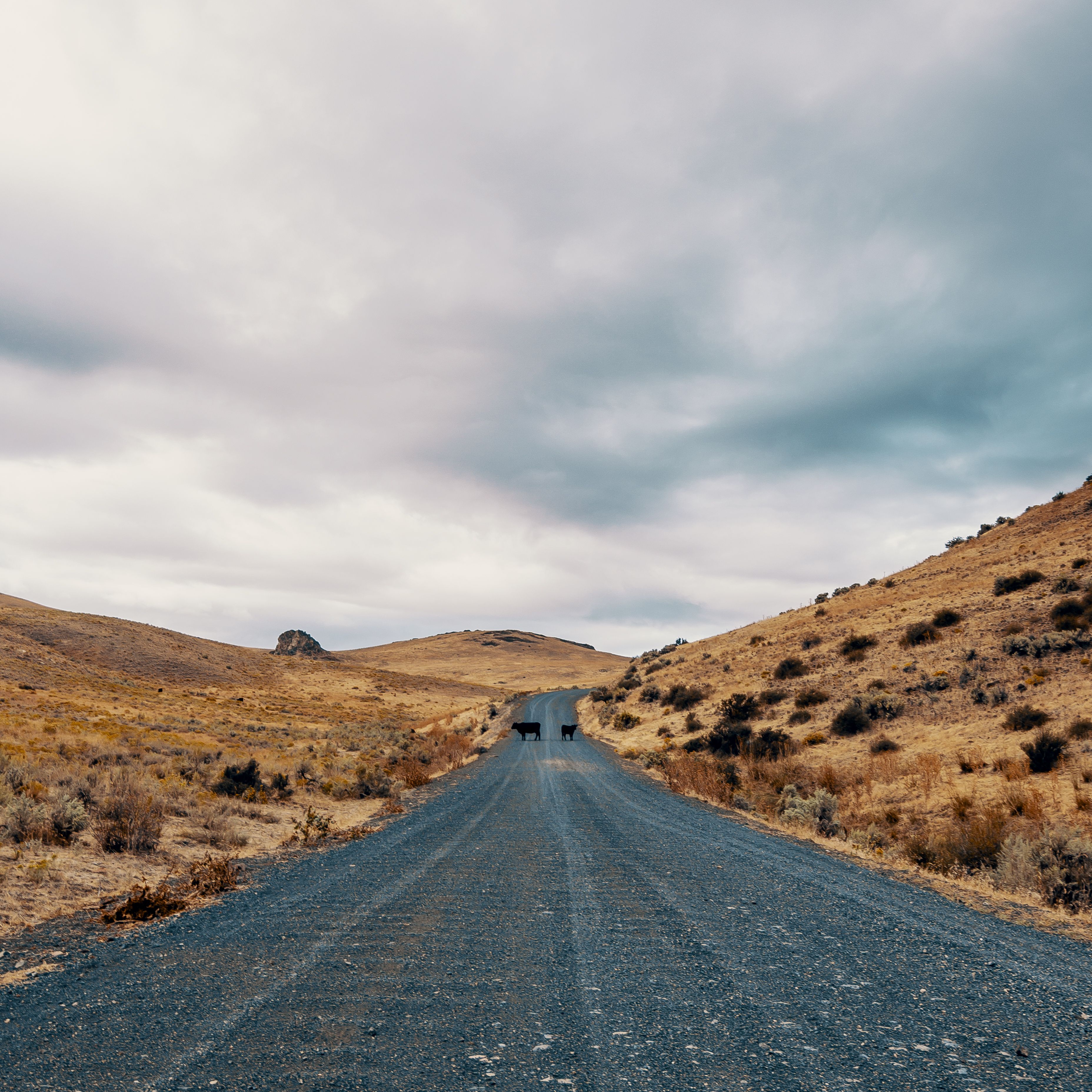 Road Broad Photos, Download The BEST Free Road Broad Stock Photos & HD ...