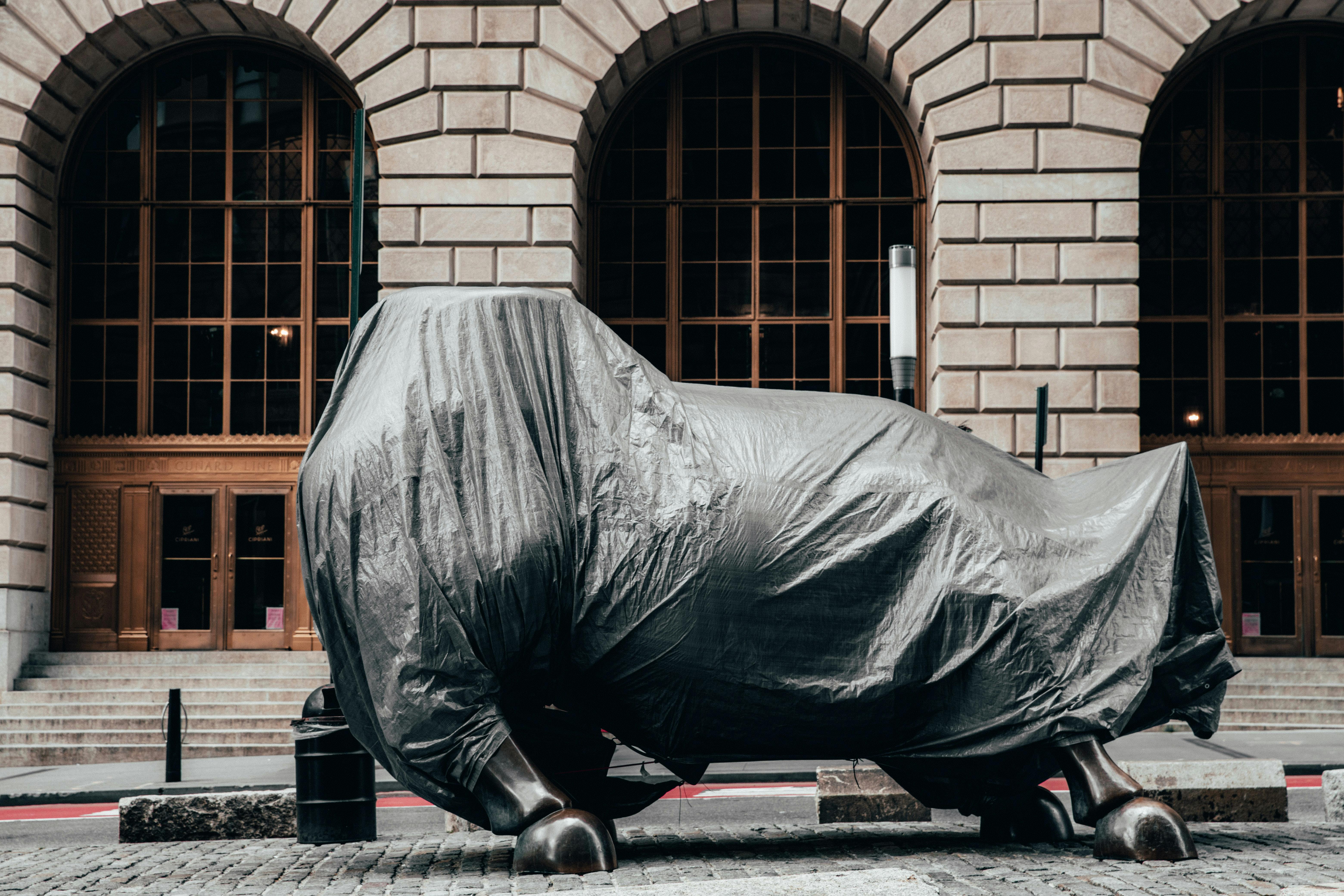 Famous Bull Photos, Download The BEST Free Famous Bull Stock Photos ...