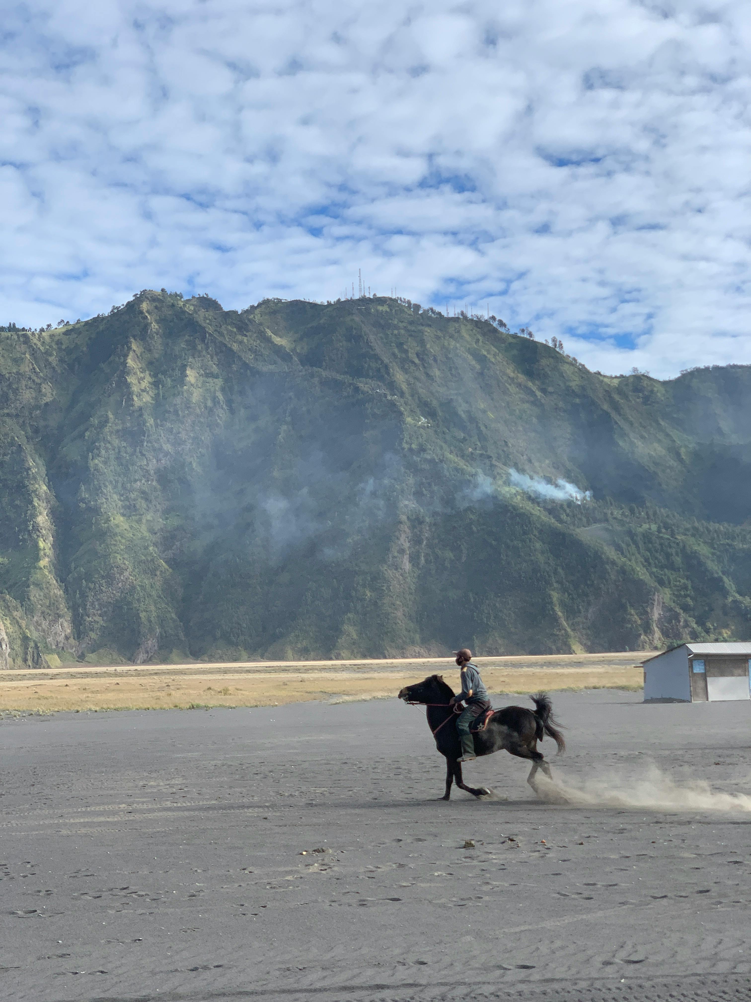 Beach Cowboy Photos, Download The BEST Free Beach Cowboy Stock Photos ...