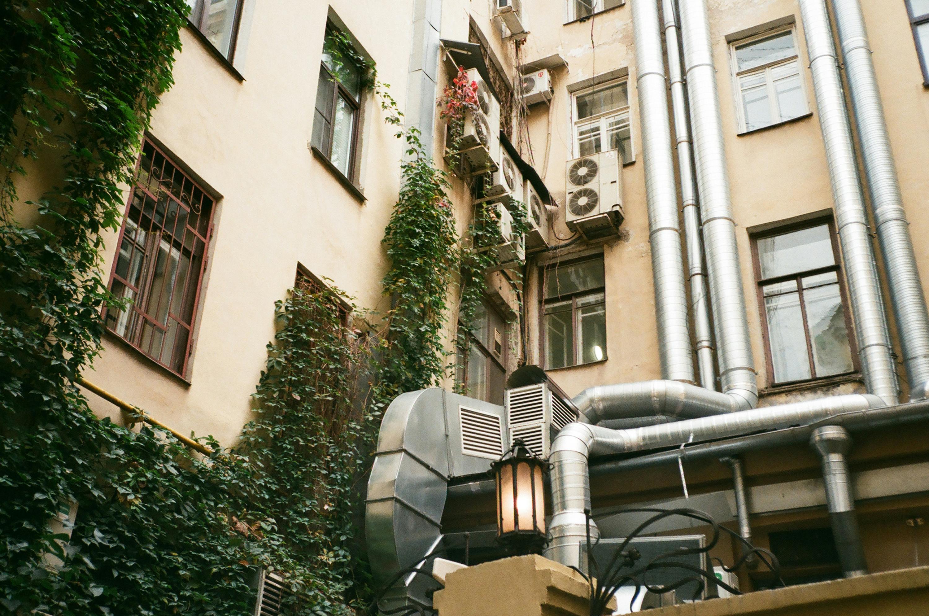 Overgrown residential building facade with windows · Free Stock Photo
