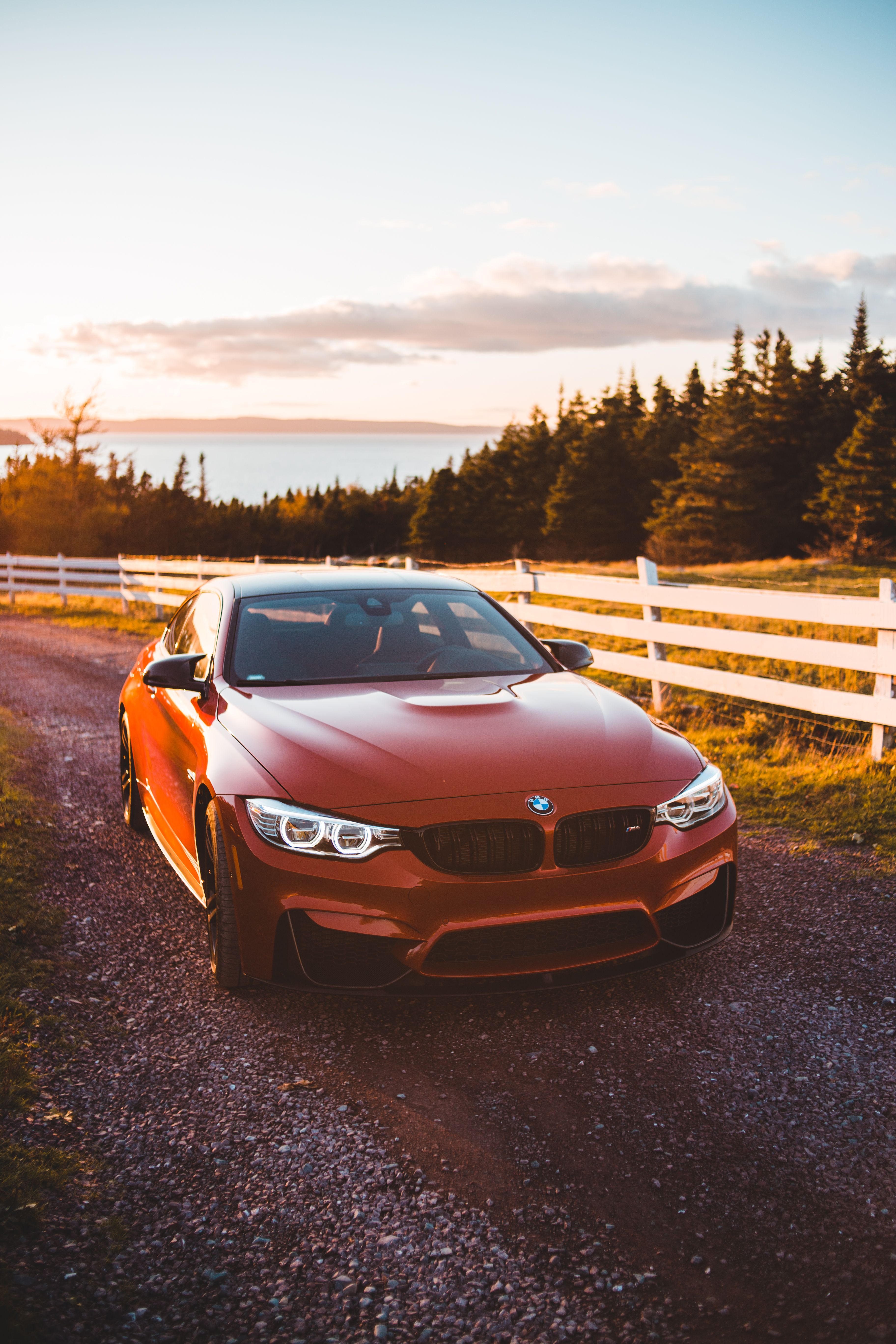 Red sport car parked near meadow and evergreen trees in countryside ...