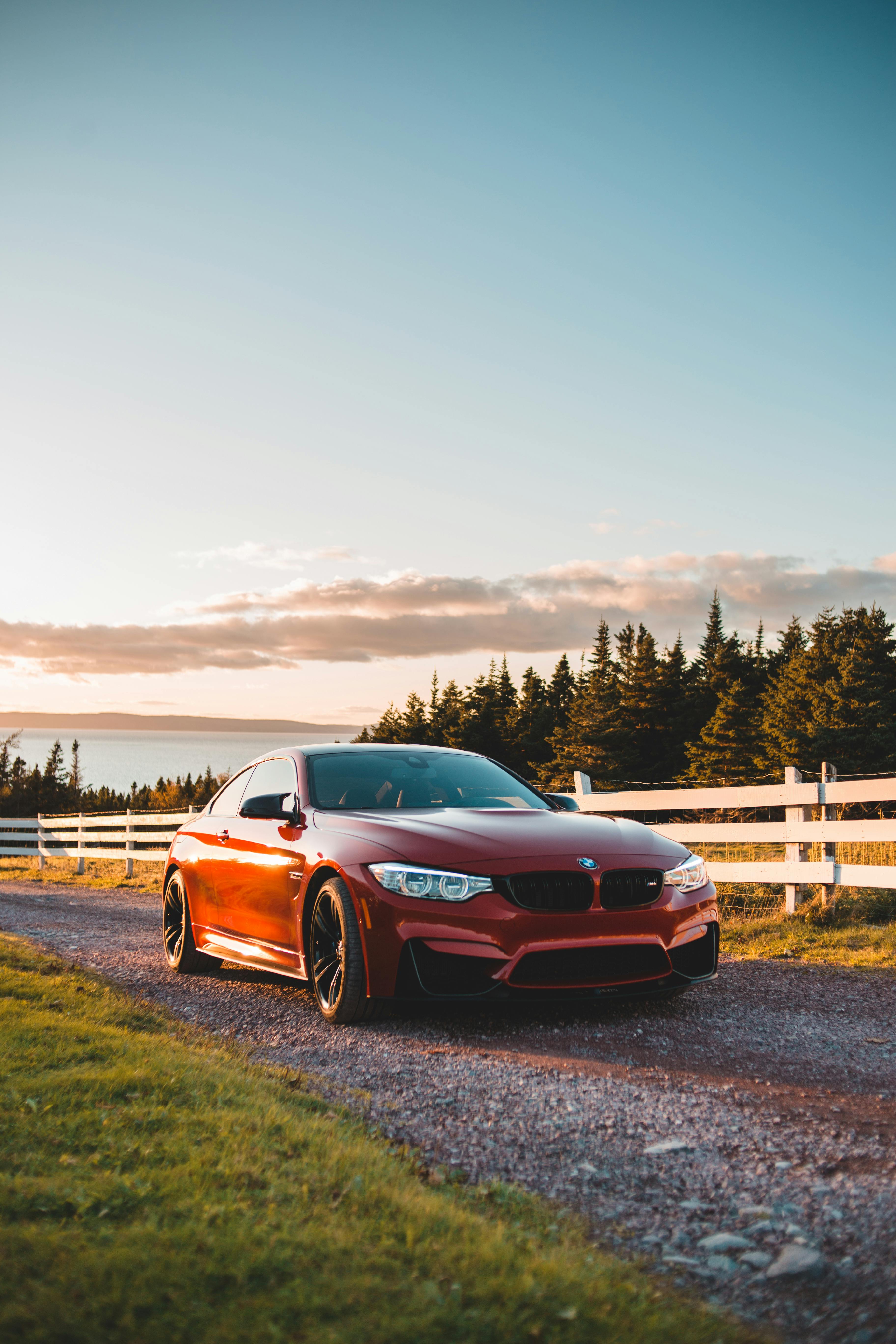 Red sport car parked near meadow and evergreen trees in countryside ...