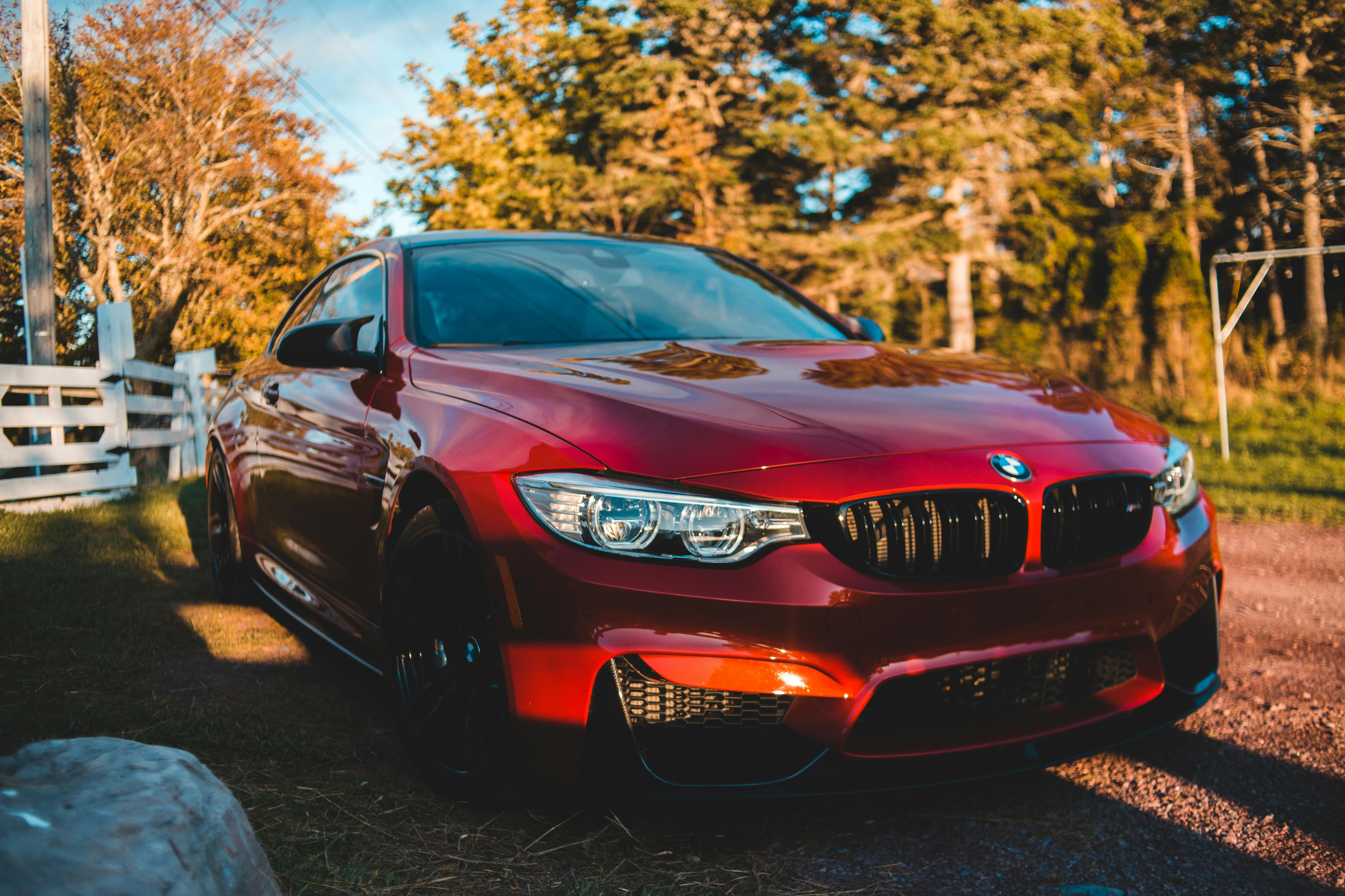 Shiny red car parked near trees in nature on sunny day · Free Stock Photo