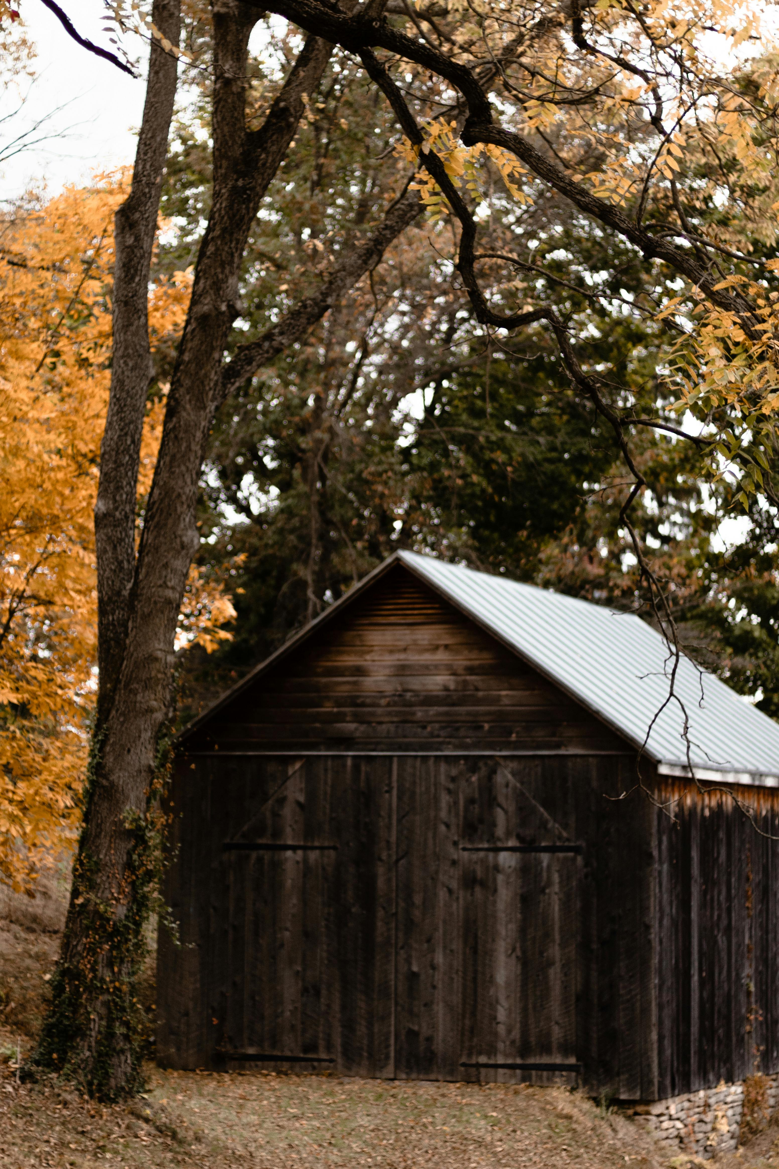 Brown Wooden Shed Beside Trees · Free Stock Photo
