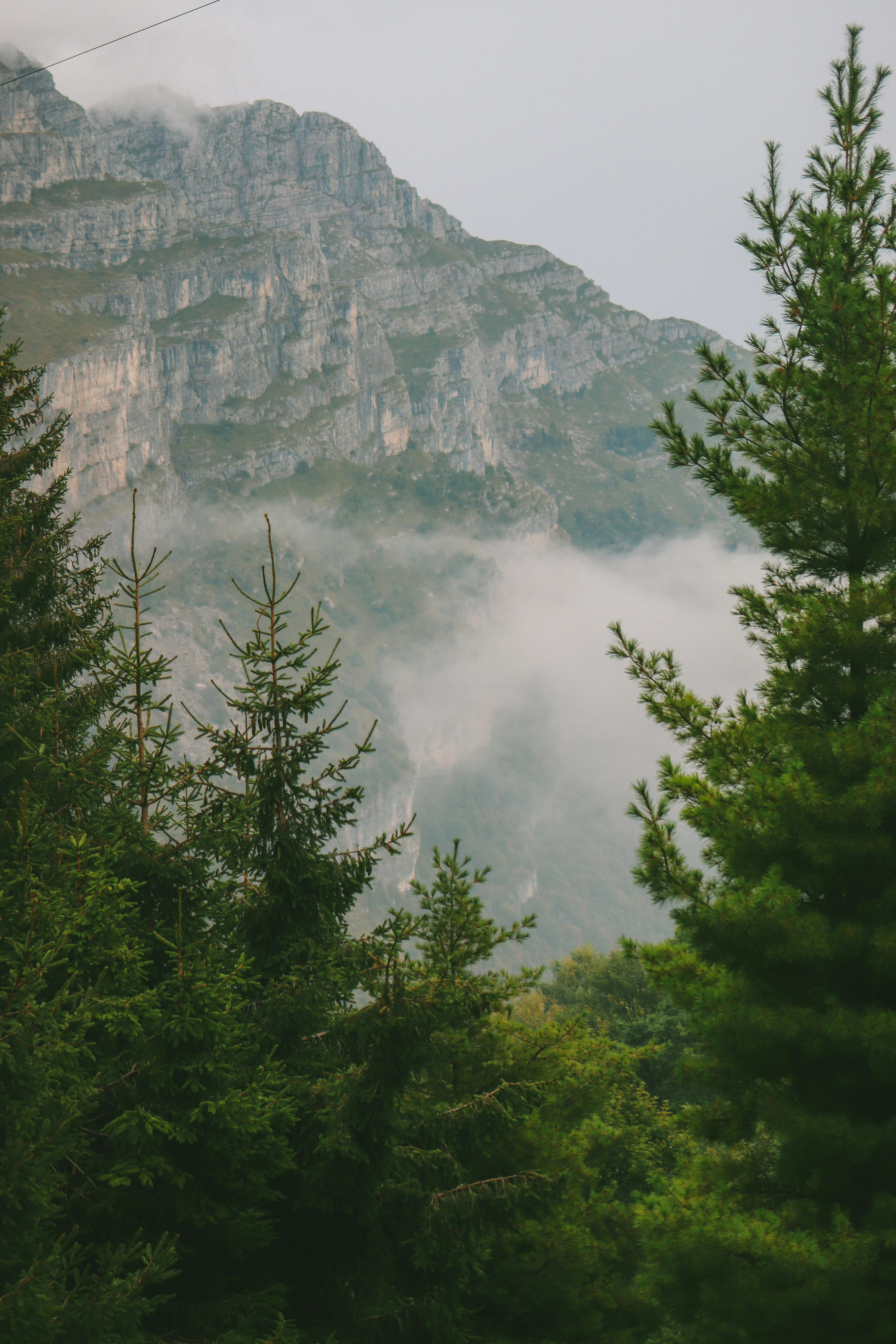 Landscape Photography of Cliff With Sea of Clouds during Golden Hour ...