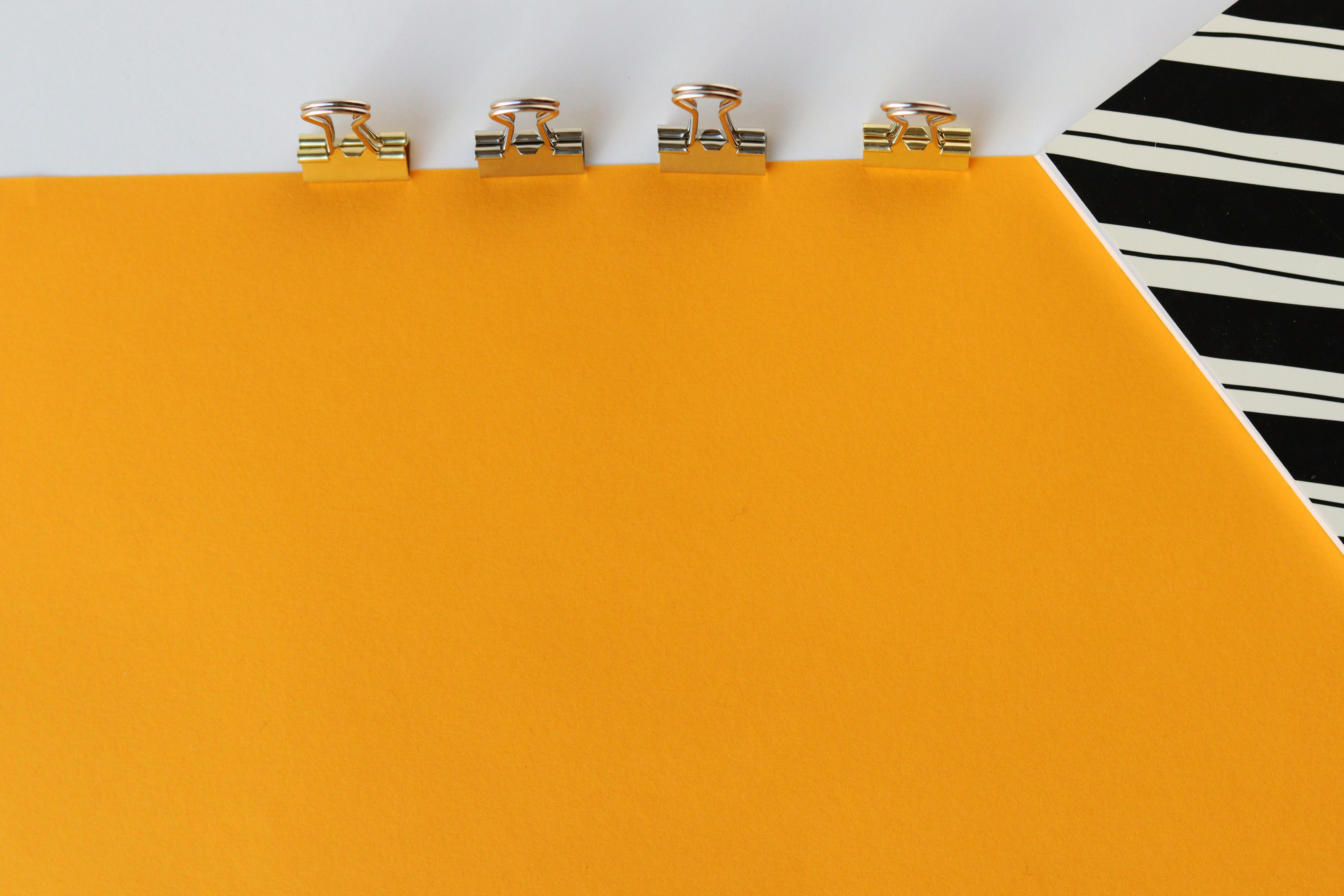 300+ Best Portfolio Photos · 100% Free Download · Pexels Stock Photos