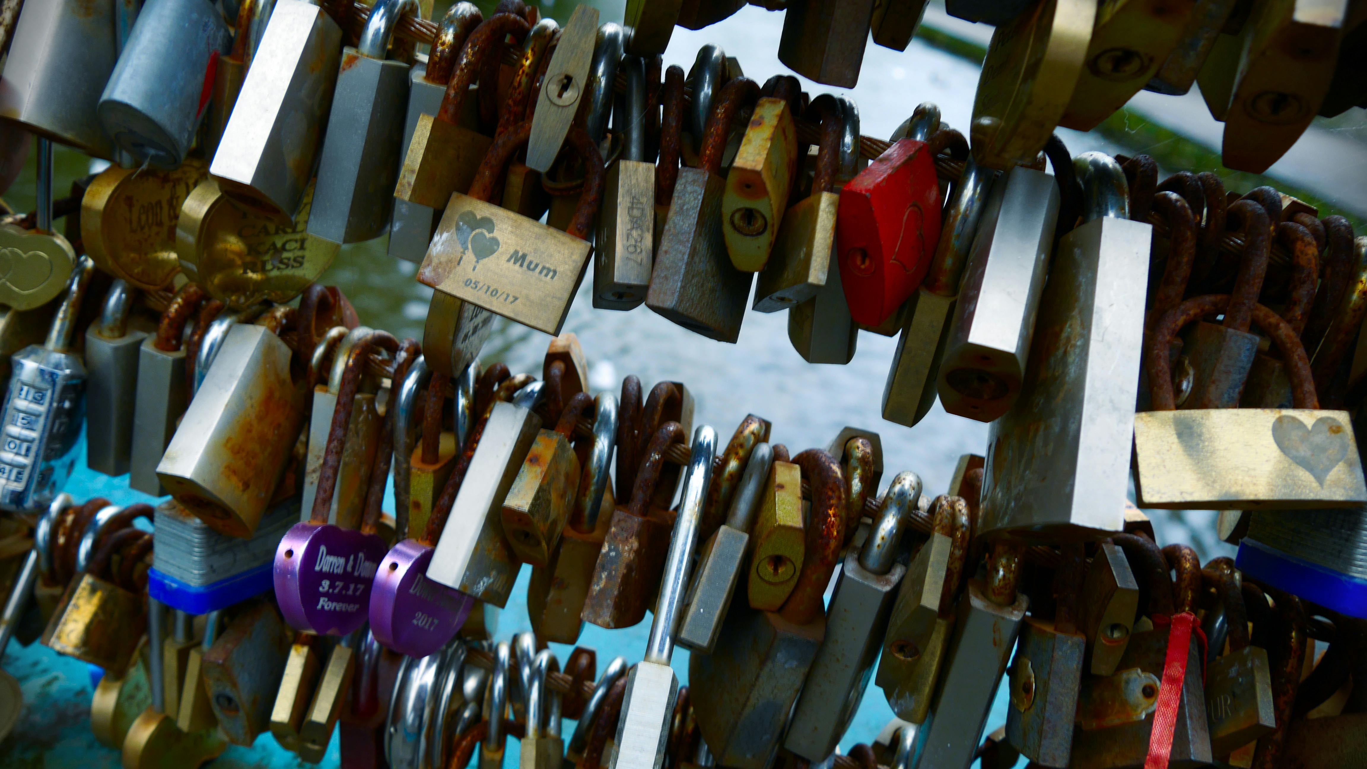 Dylan Clements l - 사진