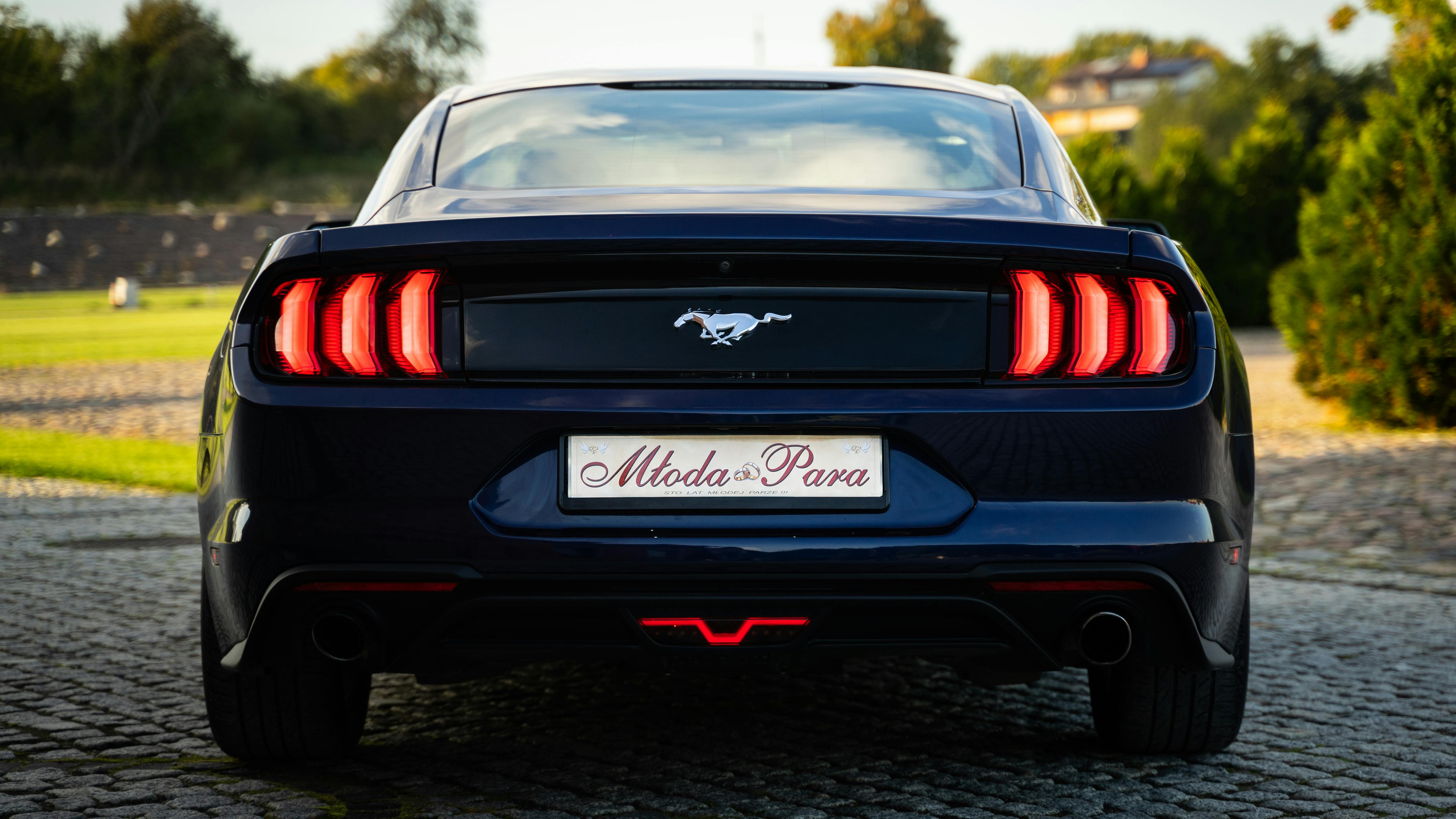 Ford Mustang Rear Photos, Download The BEST Free Ford Mustang Rear ...
