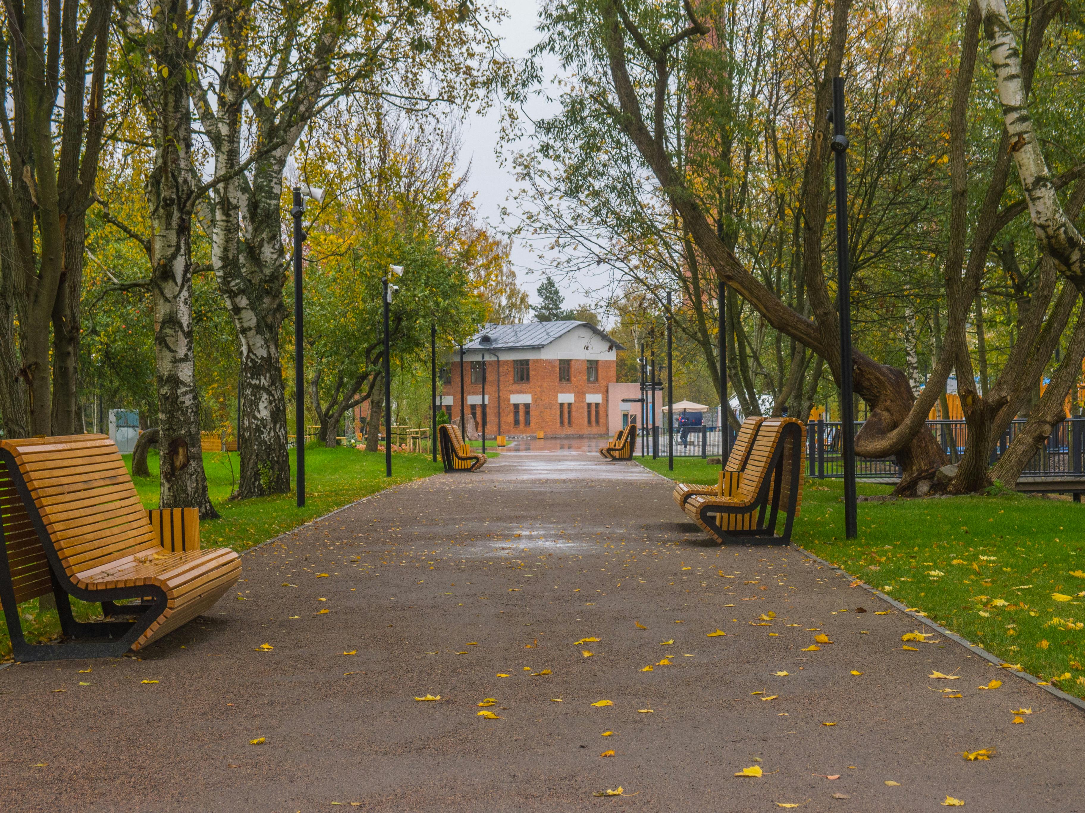Photo of An Empty Park During Fall · Free Stock Photo