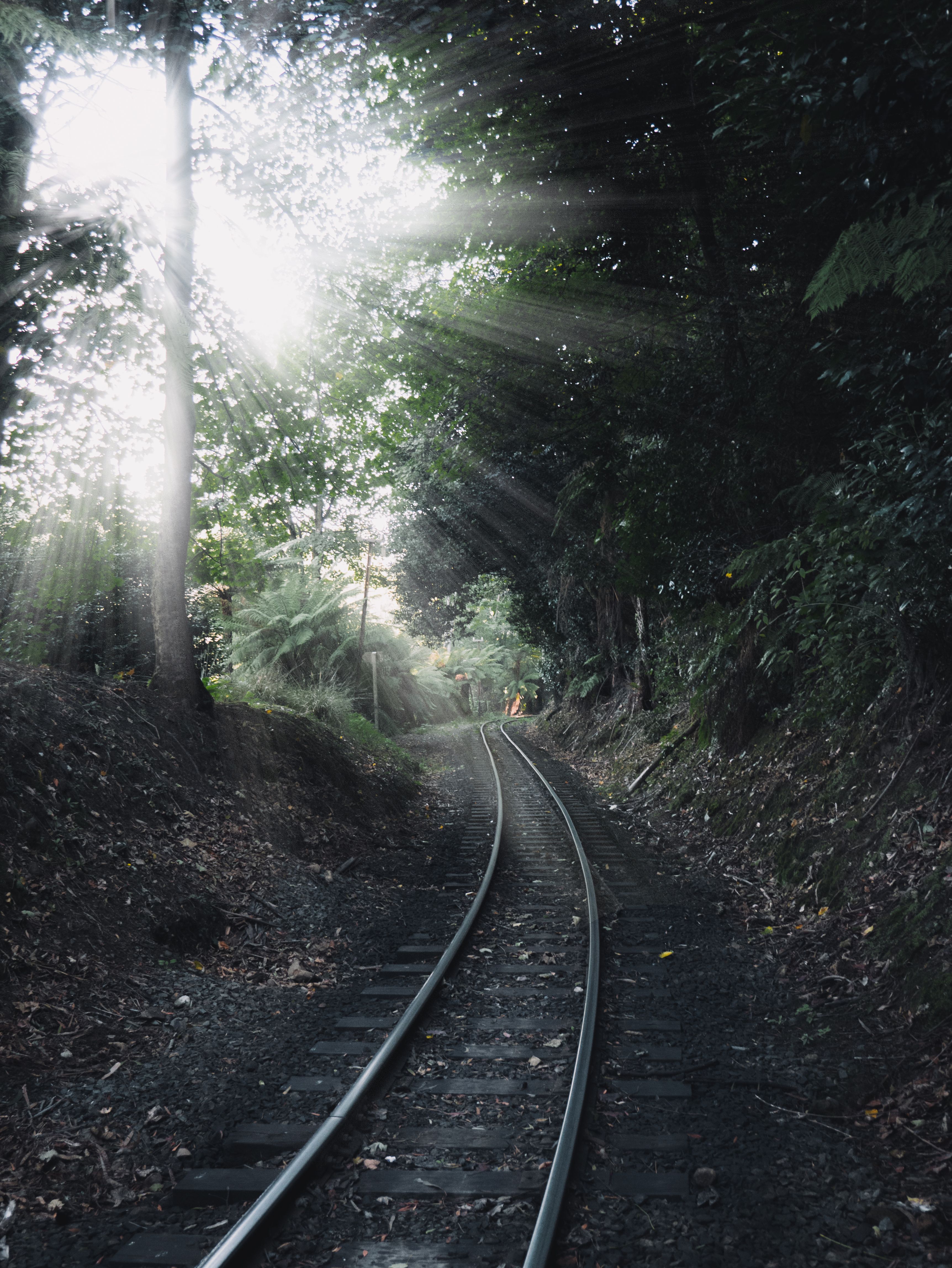 Train Rail in the Forest · Free Stock Photo