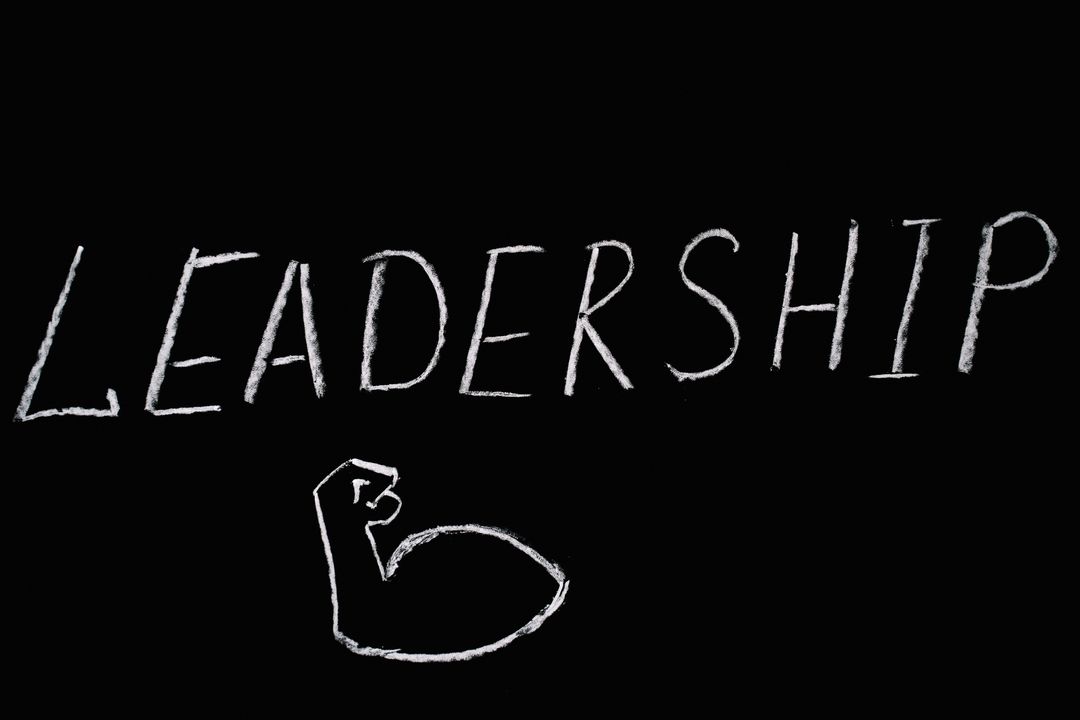 Executive Outcomes: Key Lessons from High-Risk Ventures