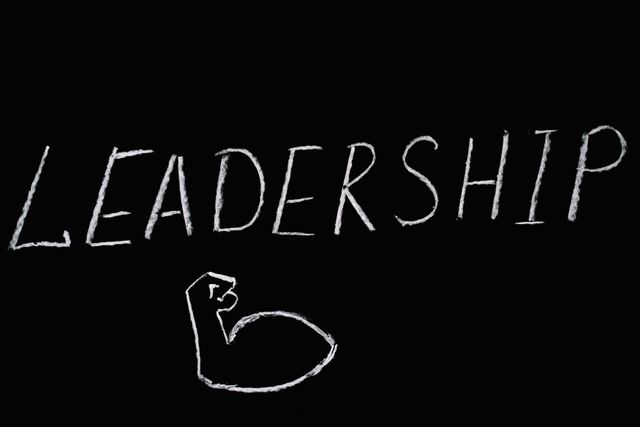 Executive Outcomes: Key Lessons from High-Risk Ventures