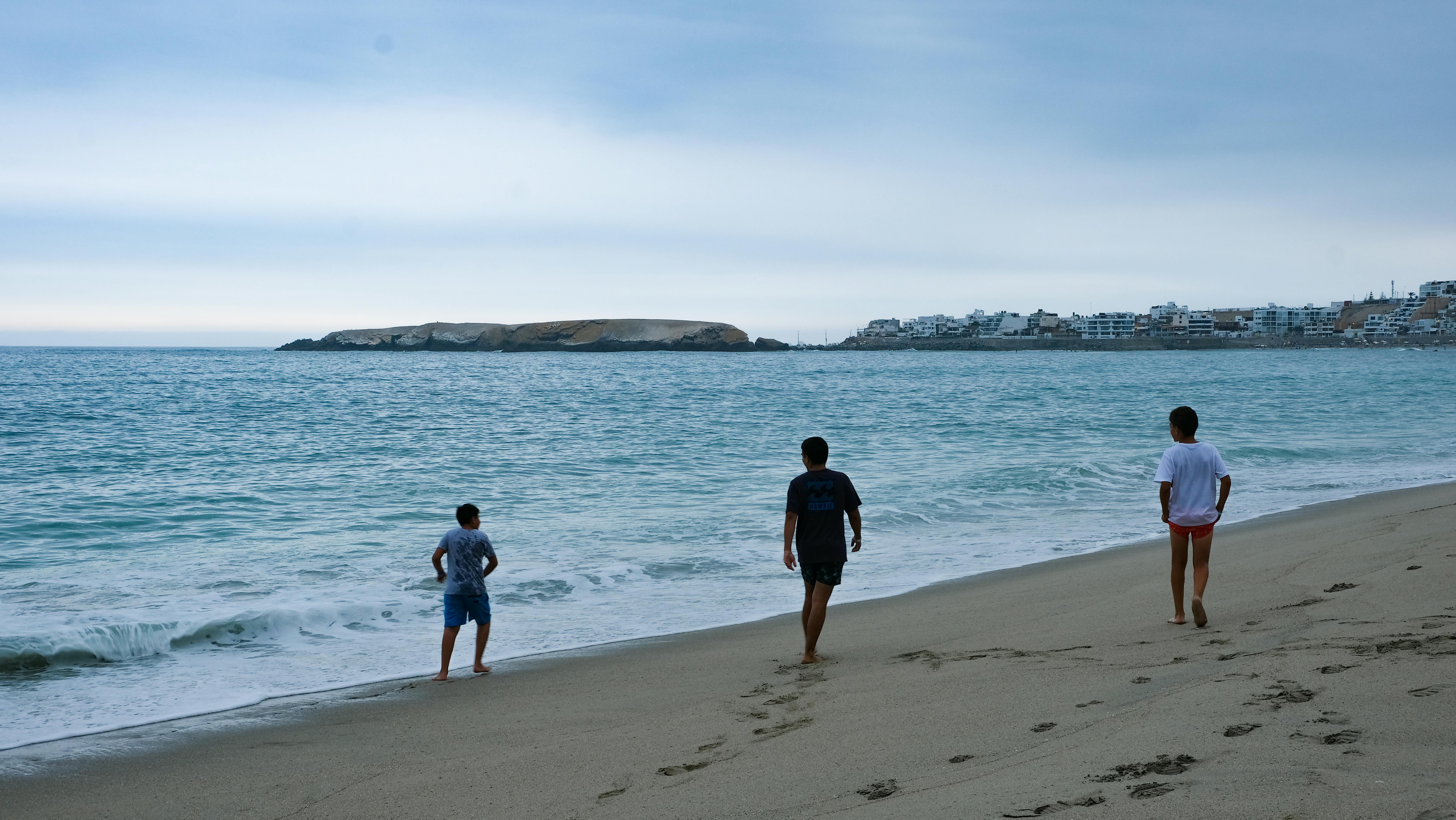 People Walking on the Beach · Free Stock Photo