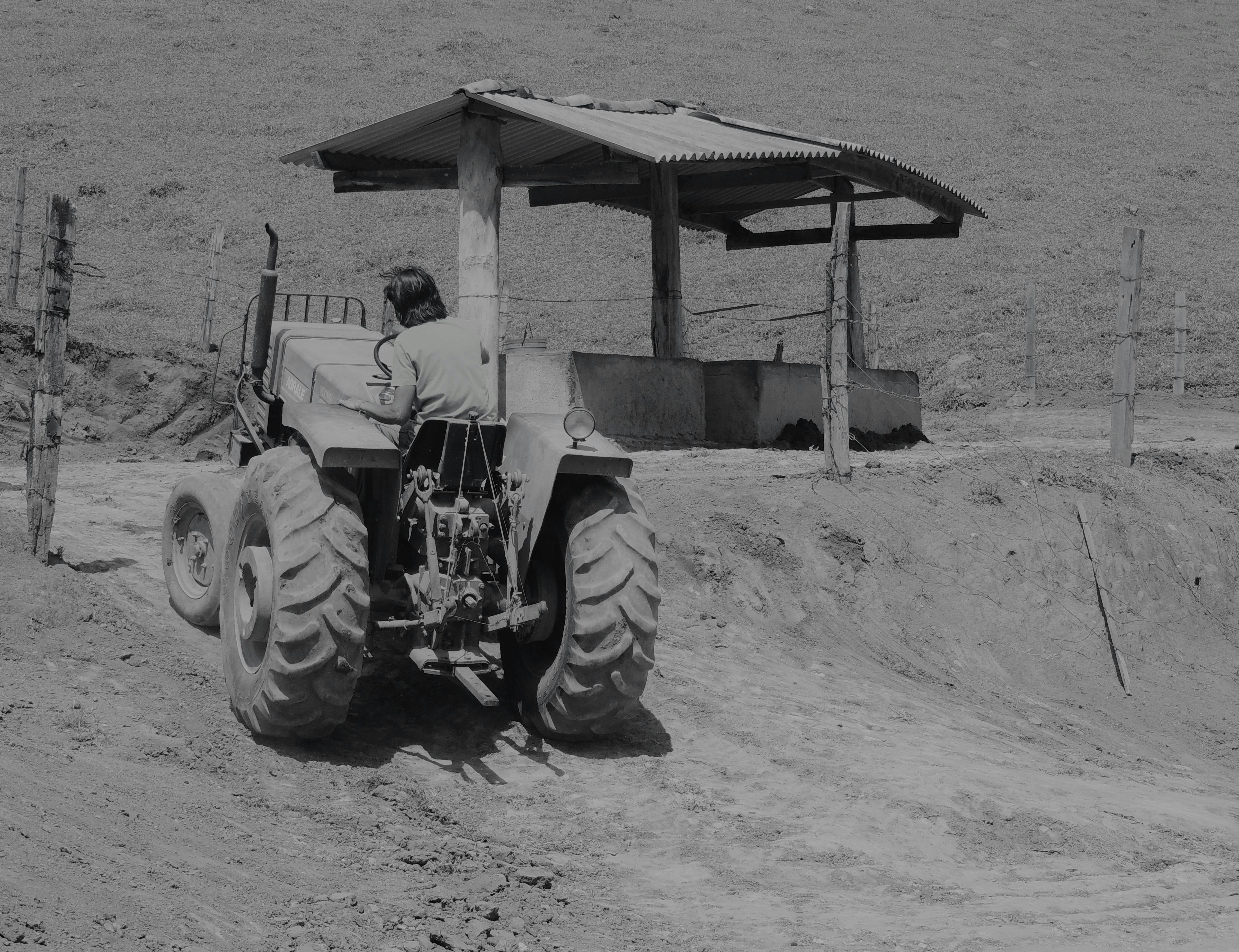 Man Driving Tractor · Free Stock Photo