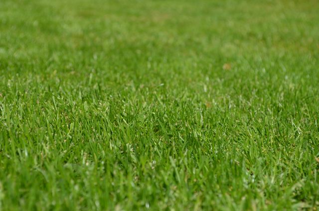 3G Artificial Grass for Sports and Recreation Facilities