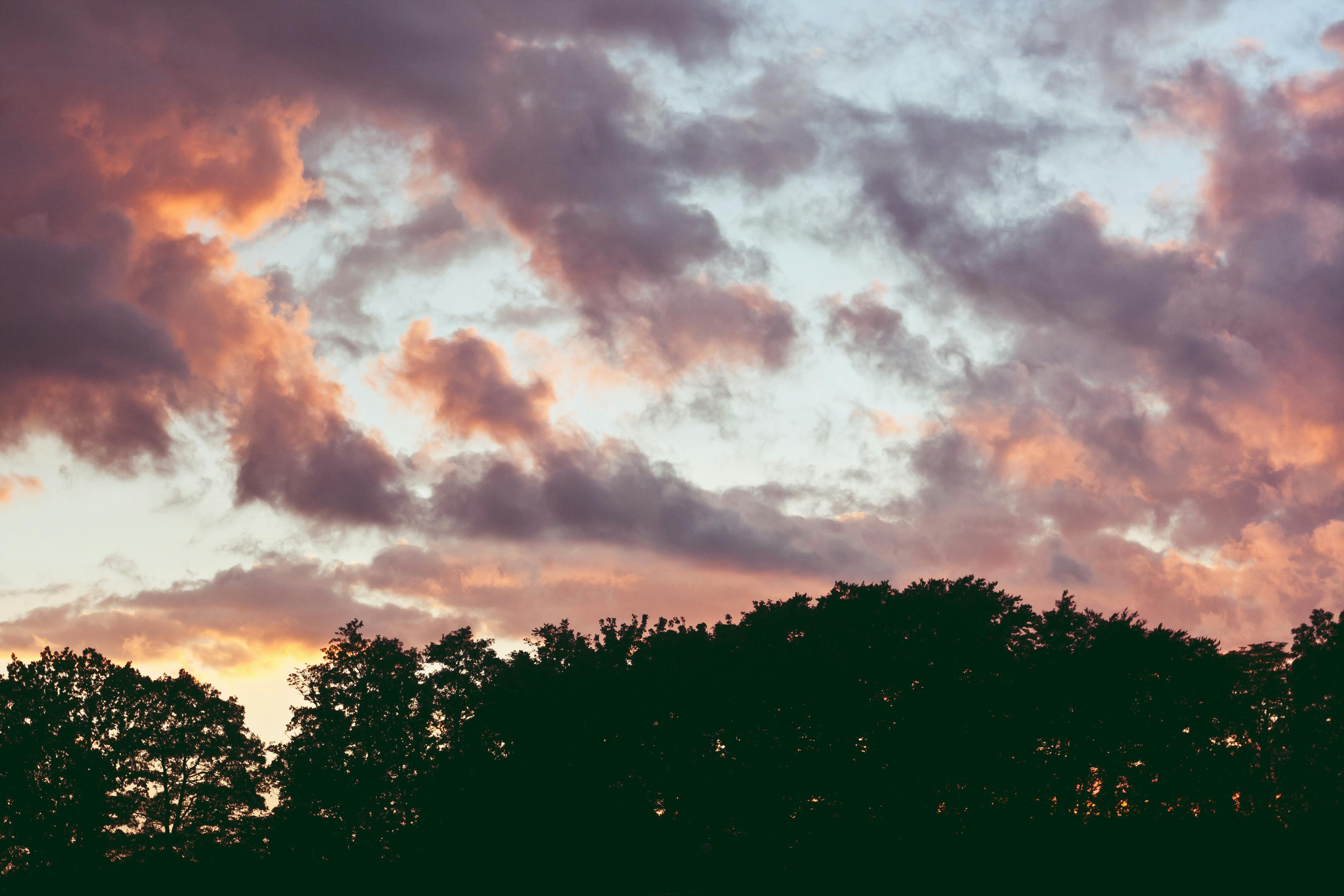 Pink sky · Free Stock Photo