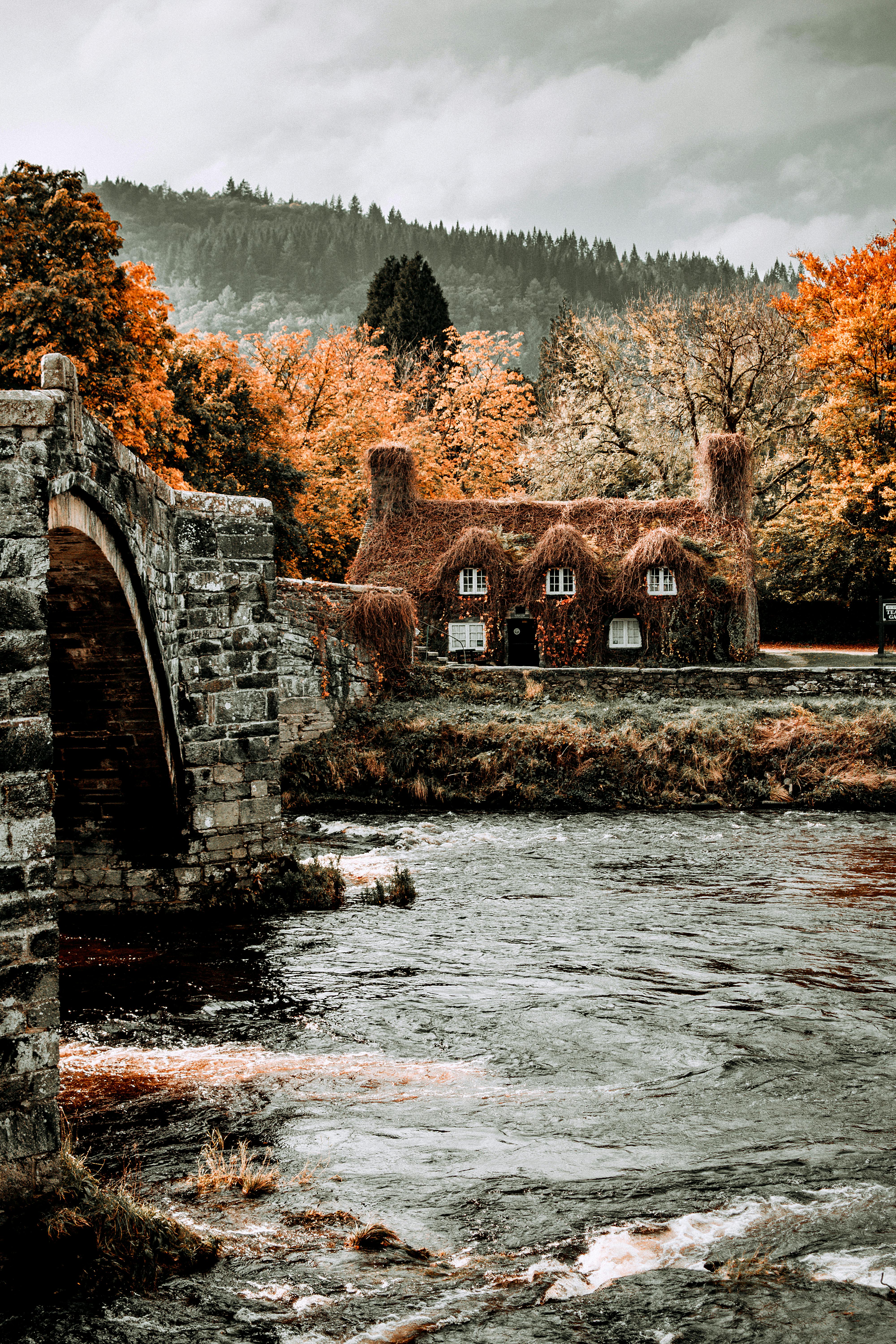 Stone Bridge over Creek · Free Stock Photo