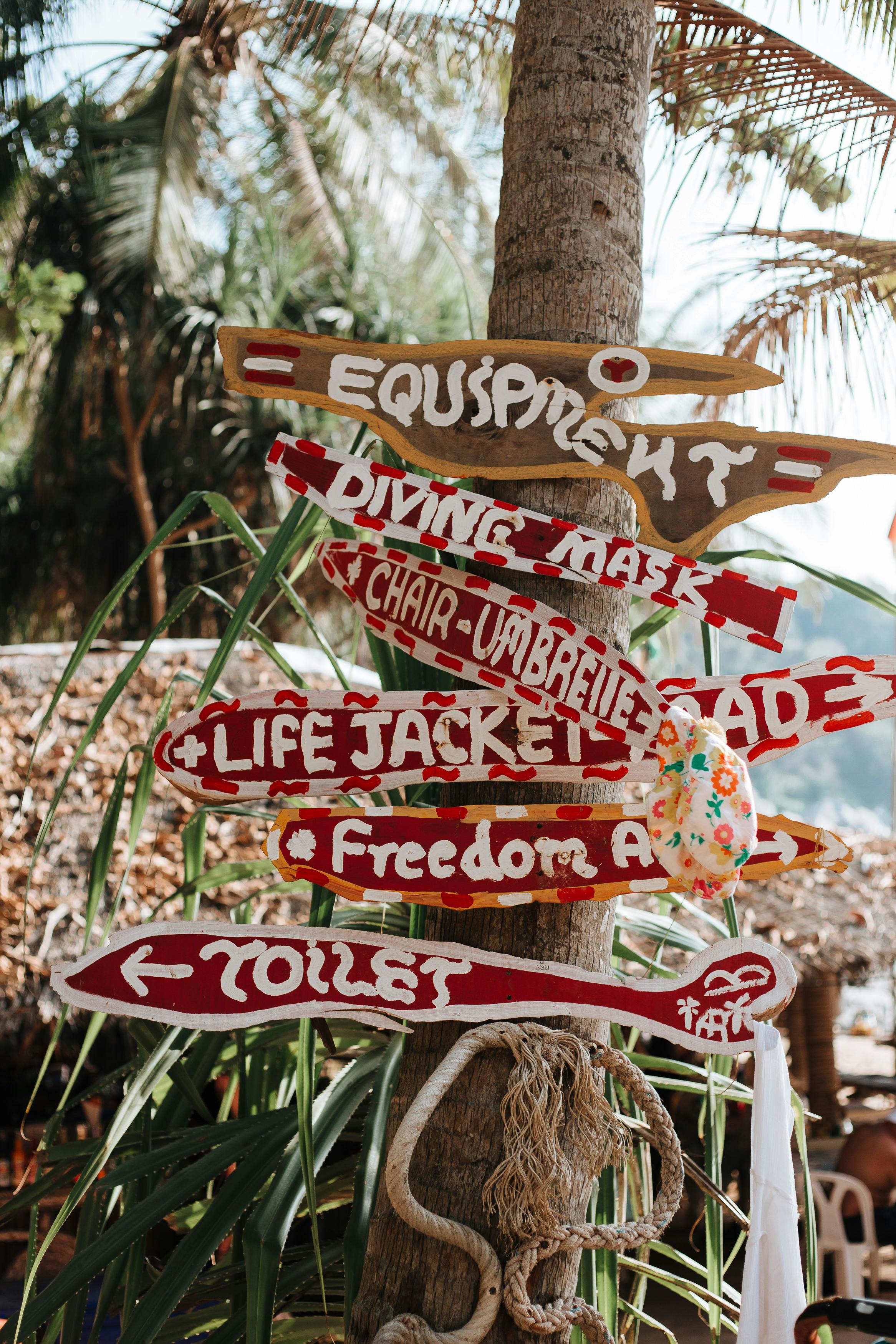 Wooden Signages Hanging on a Tree · Free Stock Photo